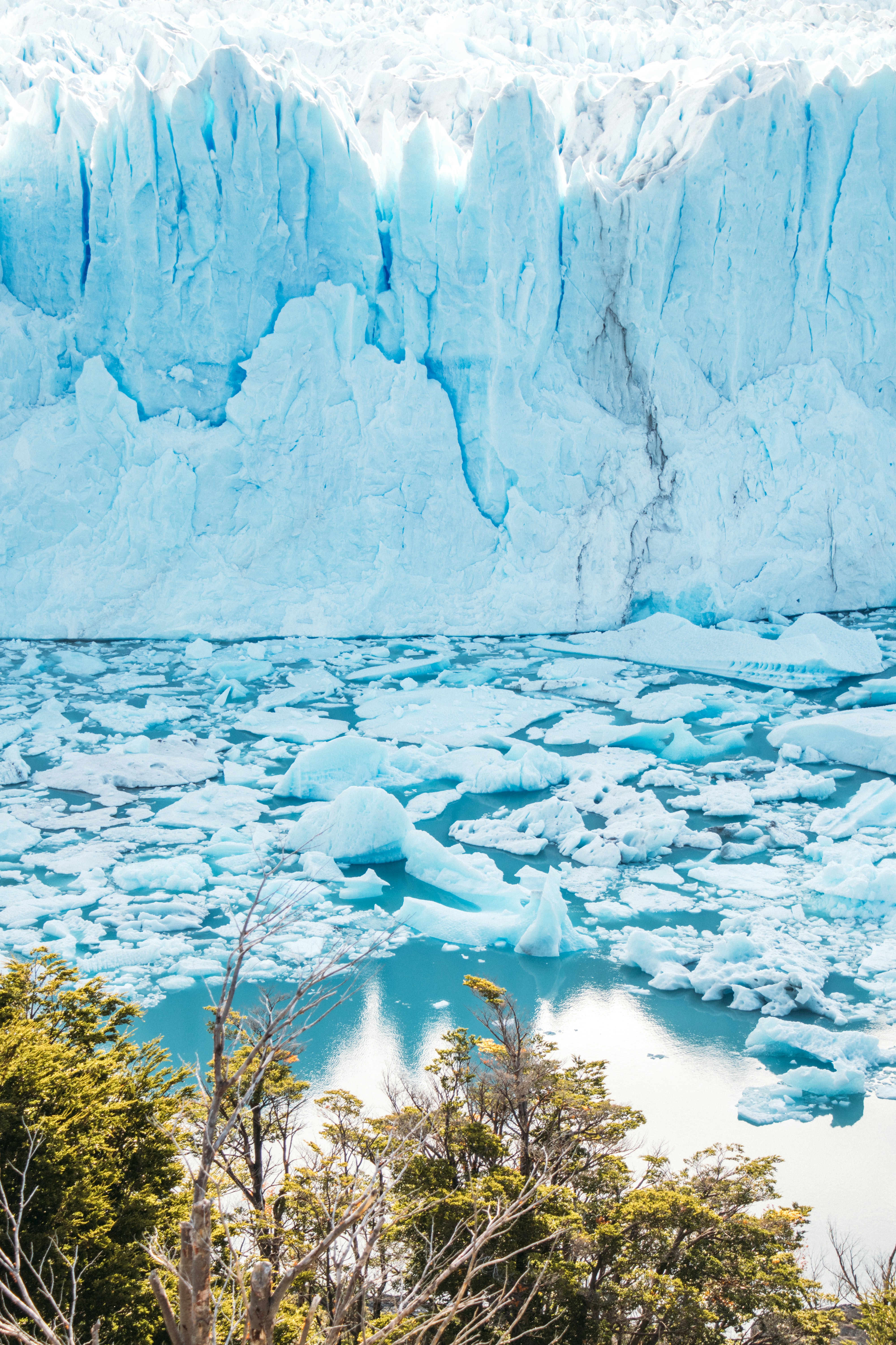 Frozen Cathedral: Glacier Face Overlooking Ice-Flecked Fjord