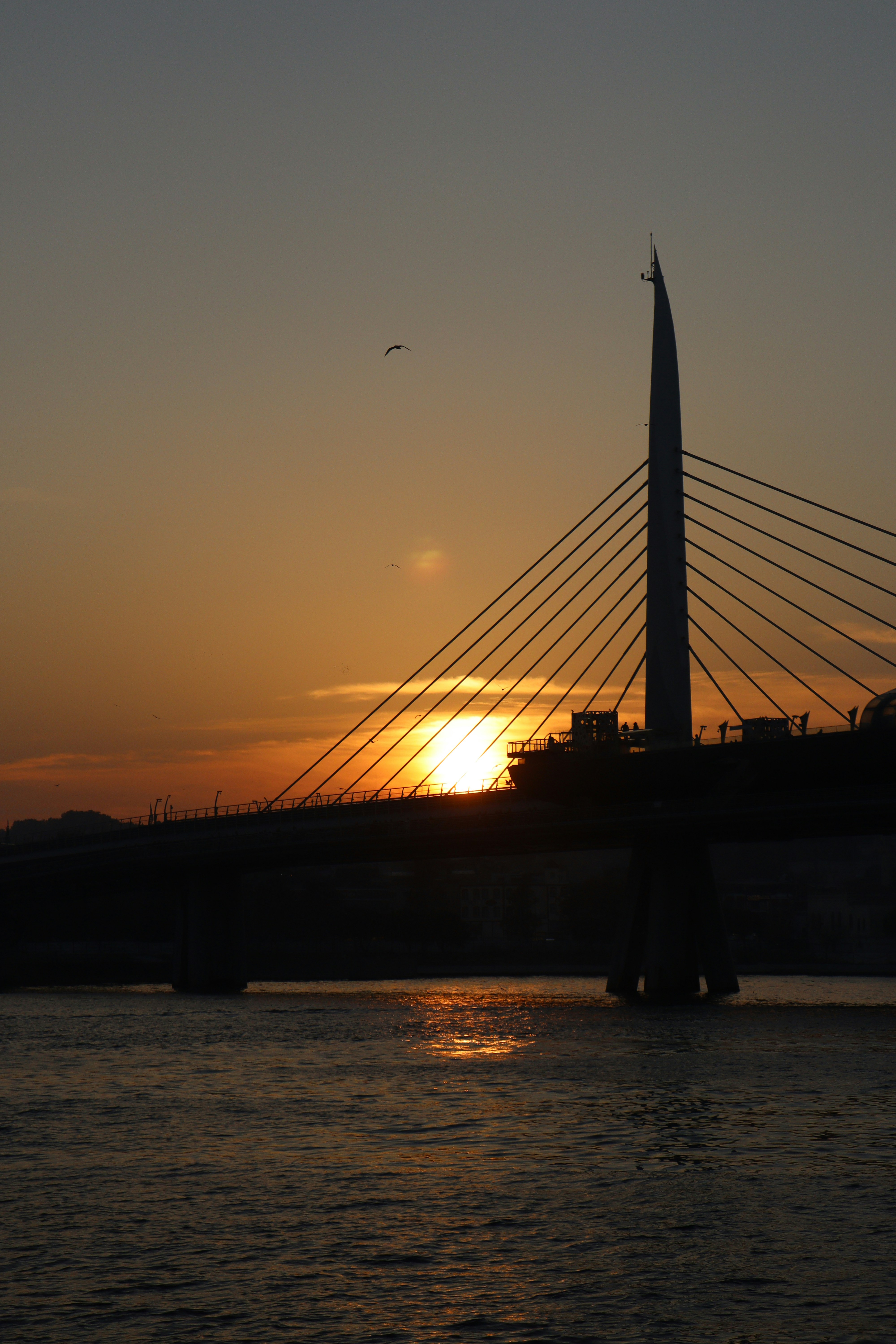 Sunlit Span: The Silk Cable Bridge at Dusk
