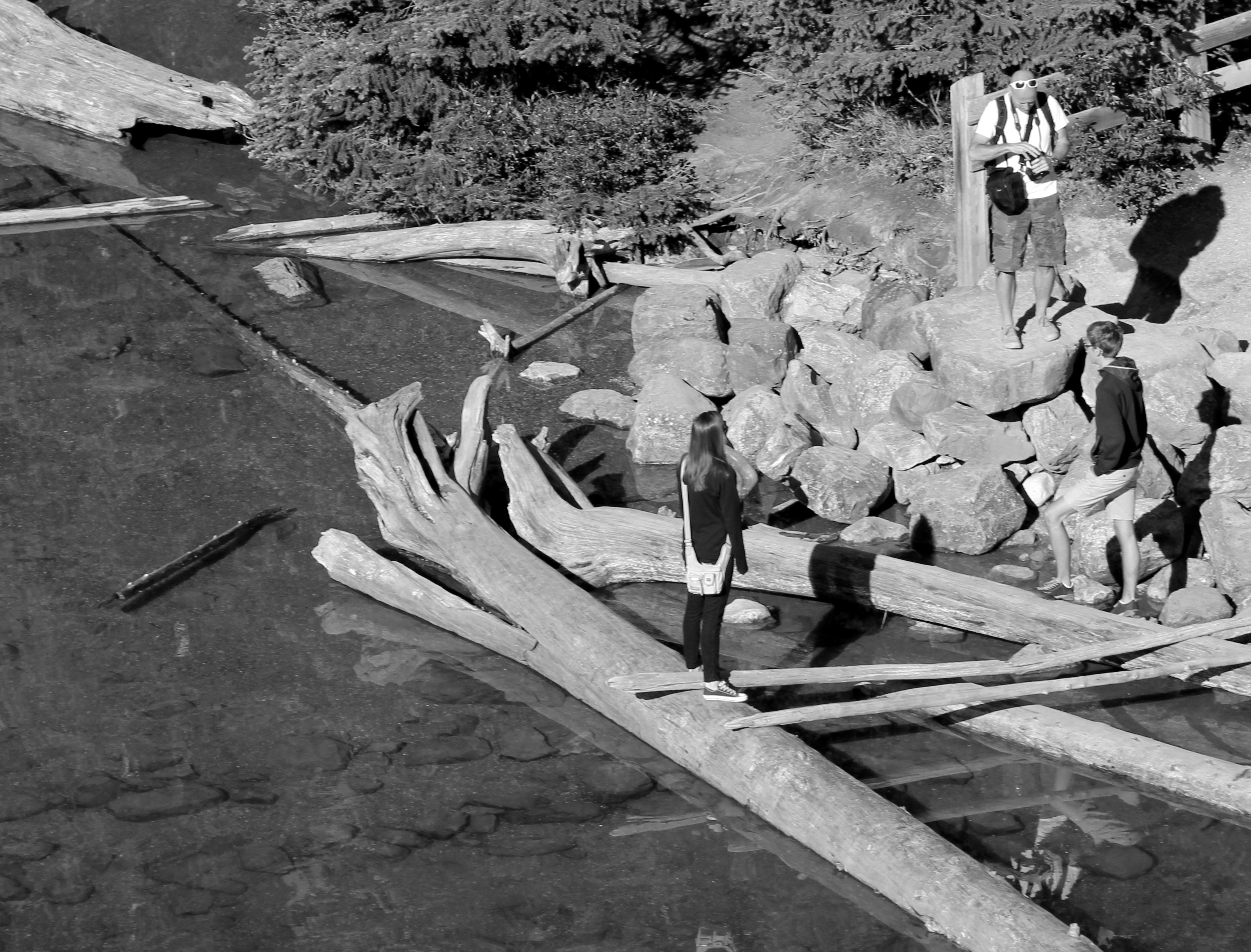 Crossing Stones: People balance on driftwood along a rocky shoreline