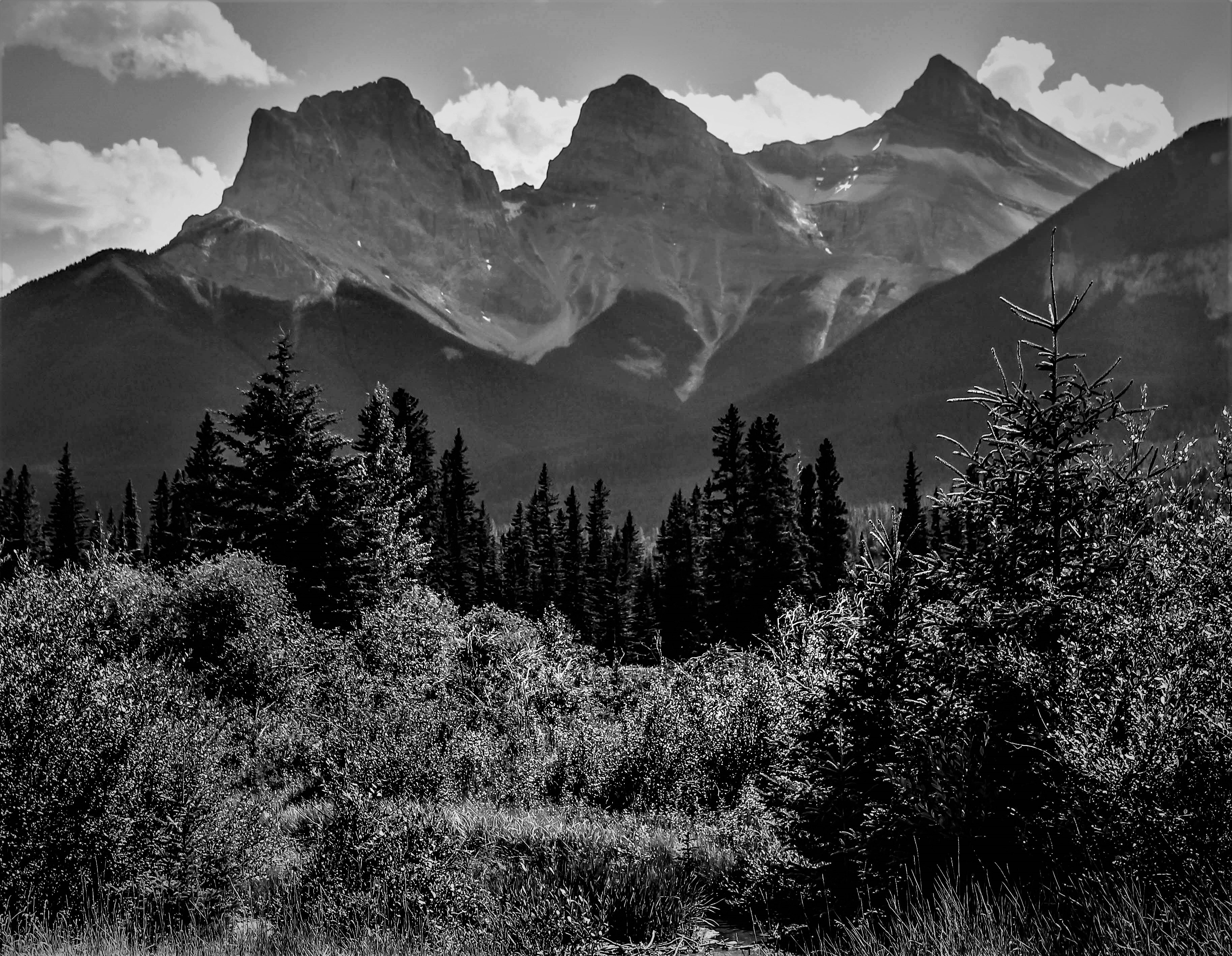 Snow-Crowned Peaks Over a Silent Forest