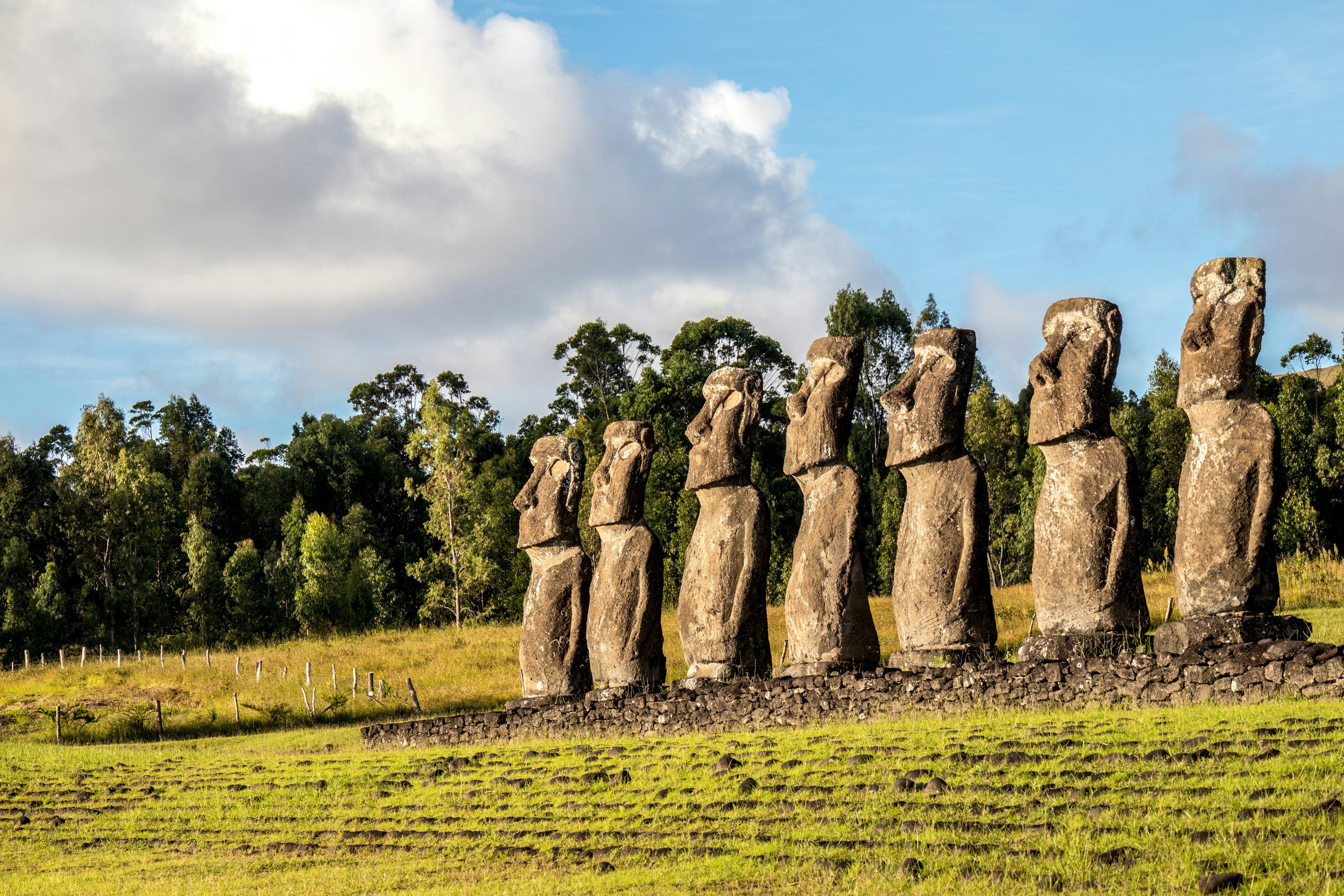 Row of Moai Stelae Standing Guard Over a Sunlit Lawn