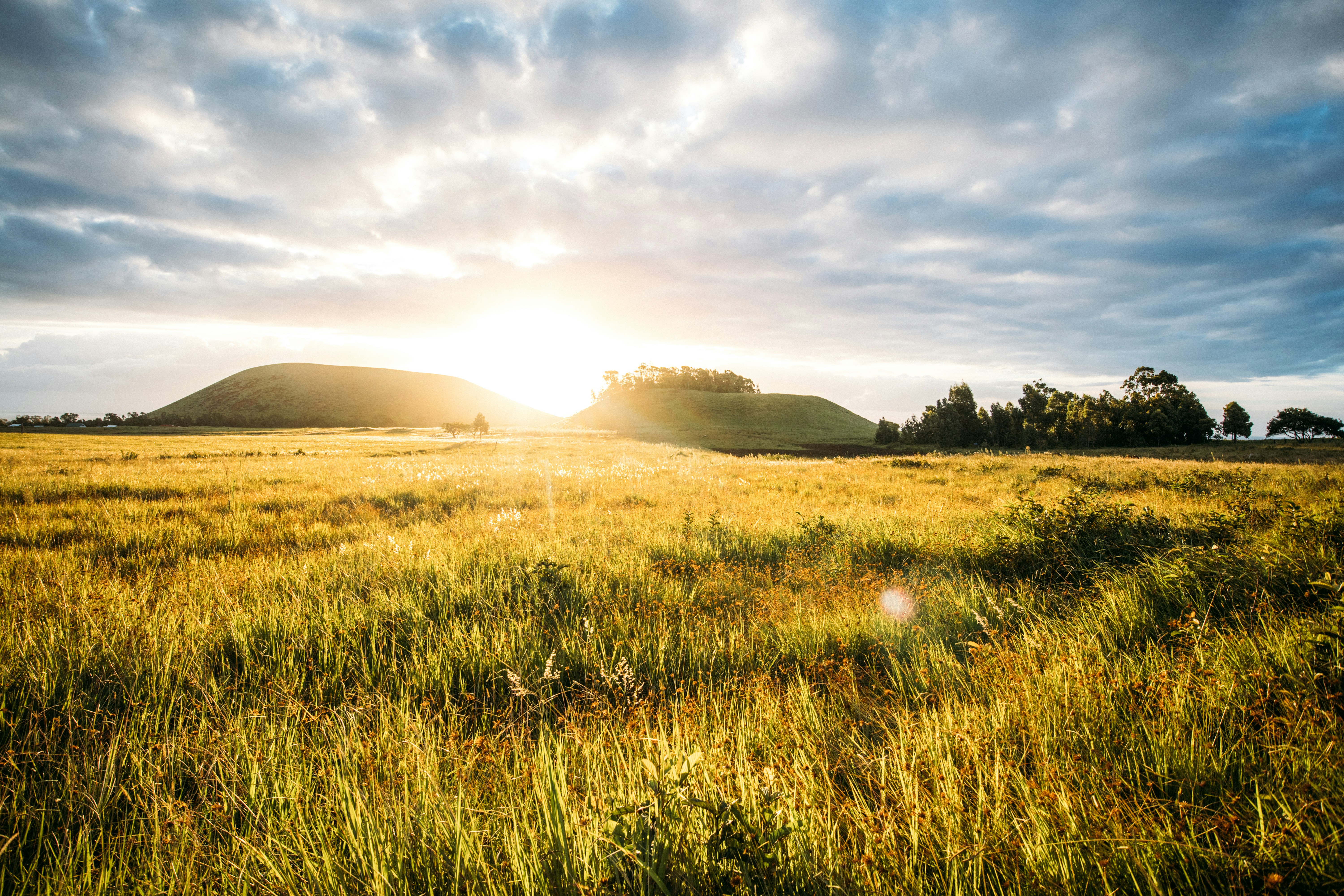 Sunlit Prairie Crowned by a Gentle Hill