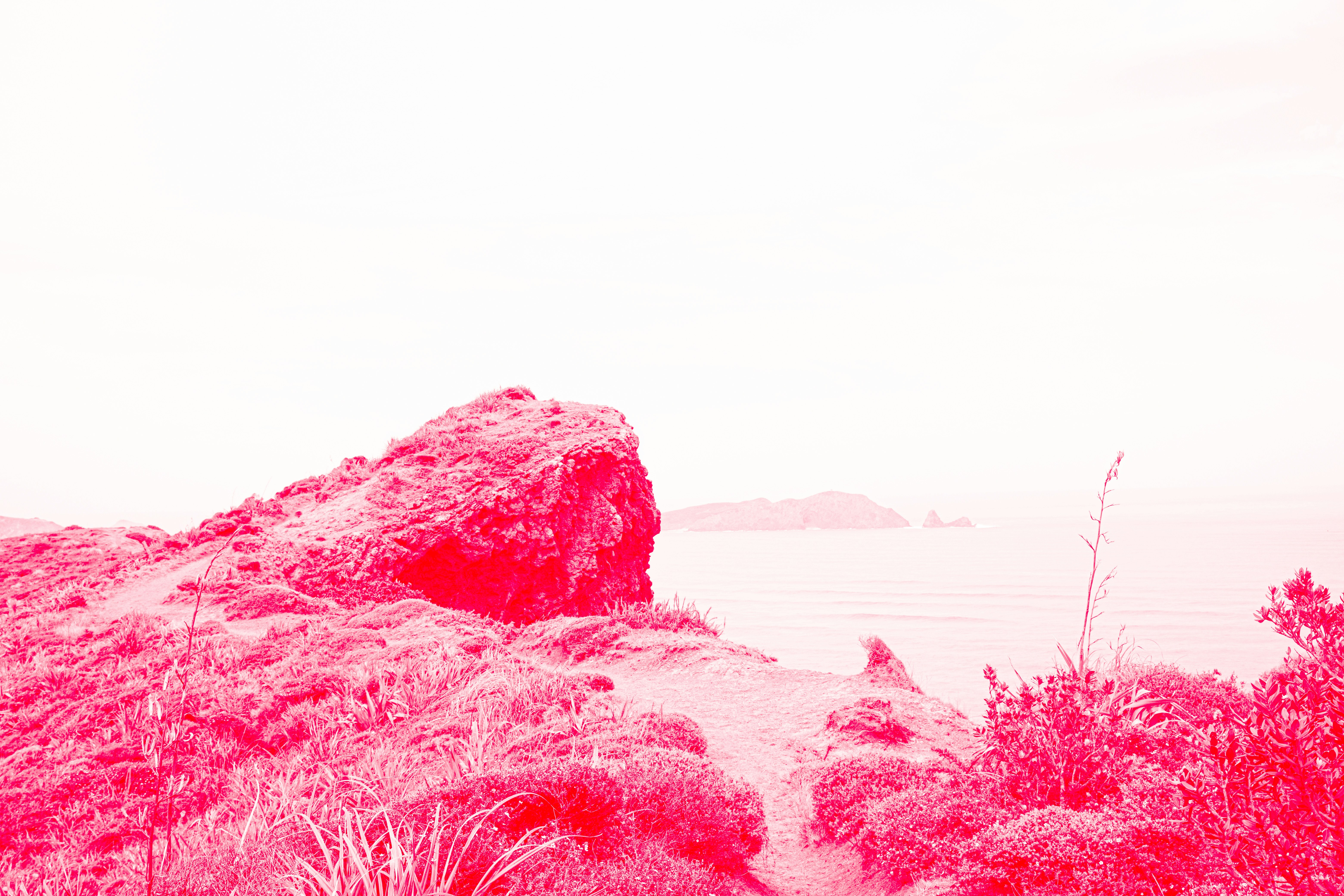 Pink-Tinted Coastal Cliffs at Dusk