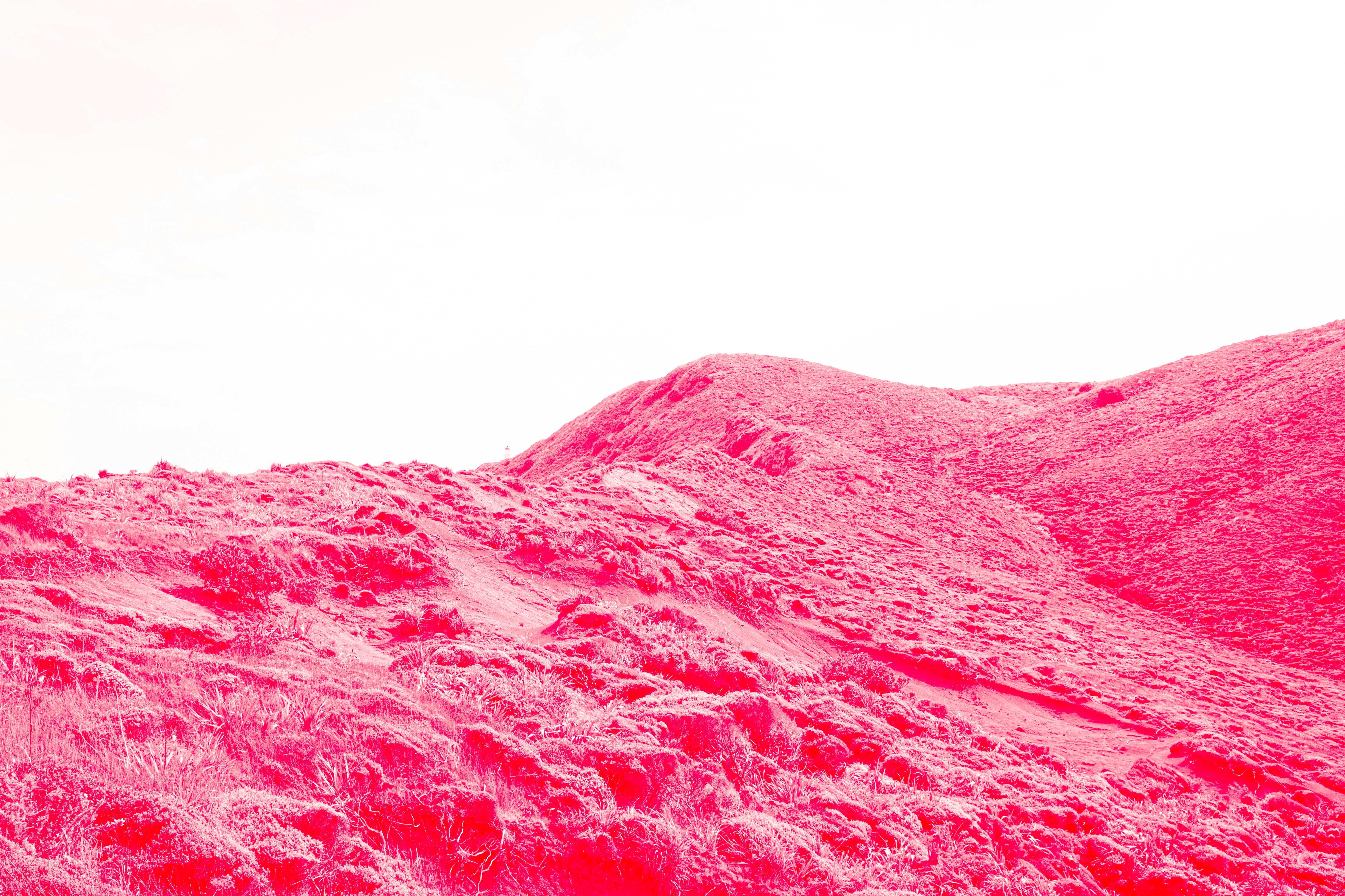 Crimson Dunes: A Sunlit Backcountry of Ephemeral Ridge