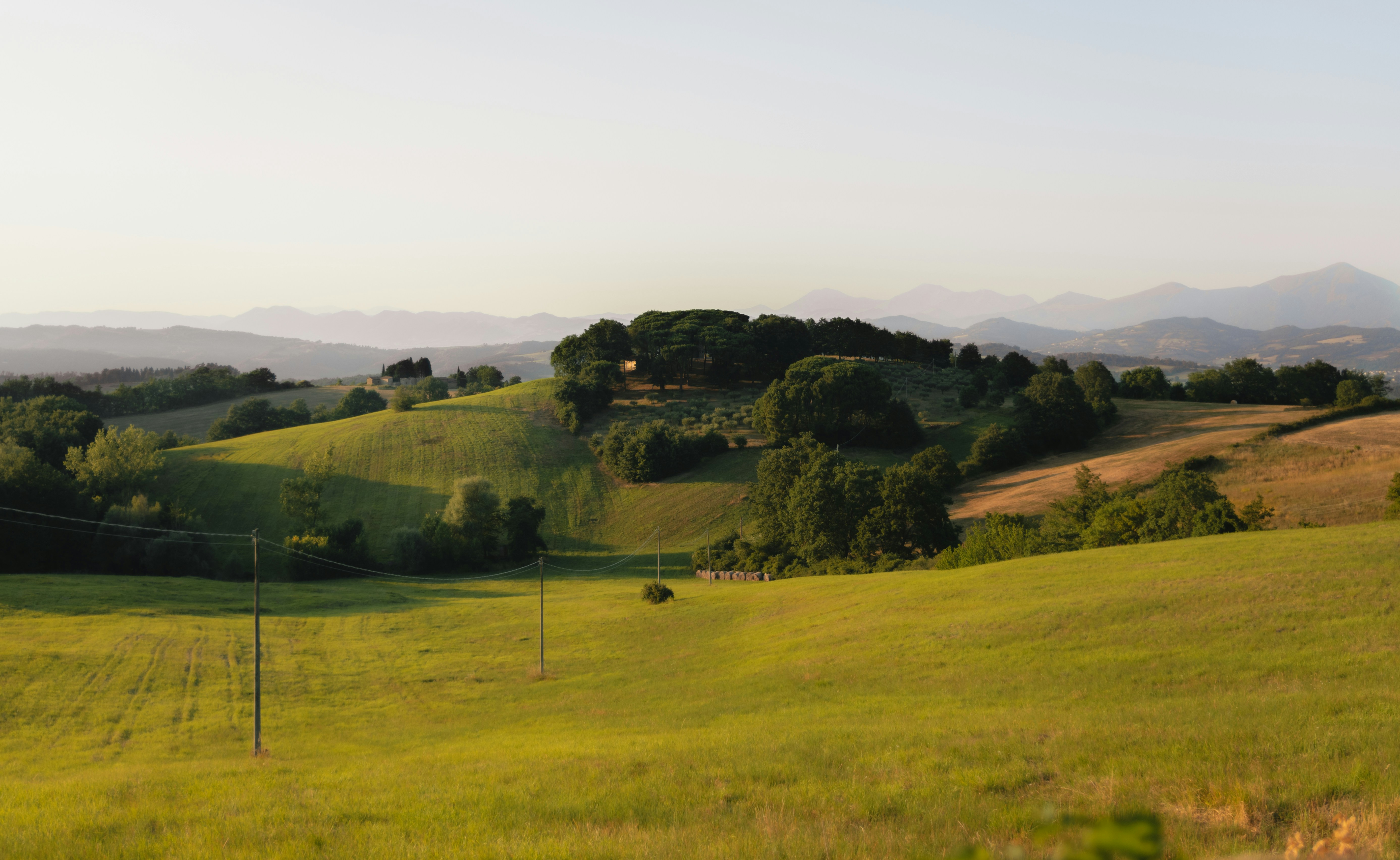 Golden rolling hills with a distant tree ridge under clear sky; the landscape conveys calm depth and wide-open space. Landscape photograph, natural scene.