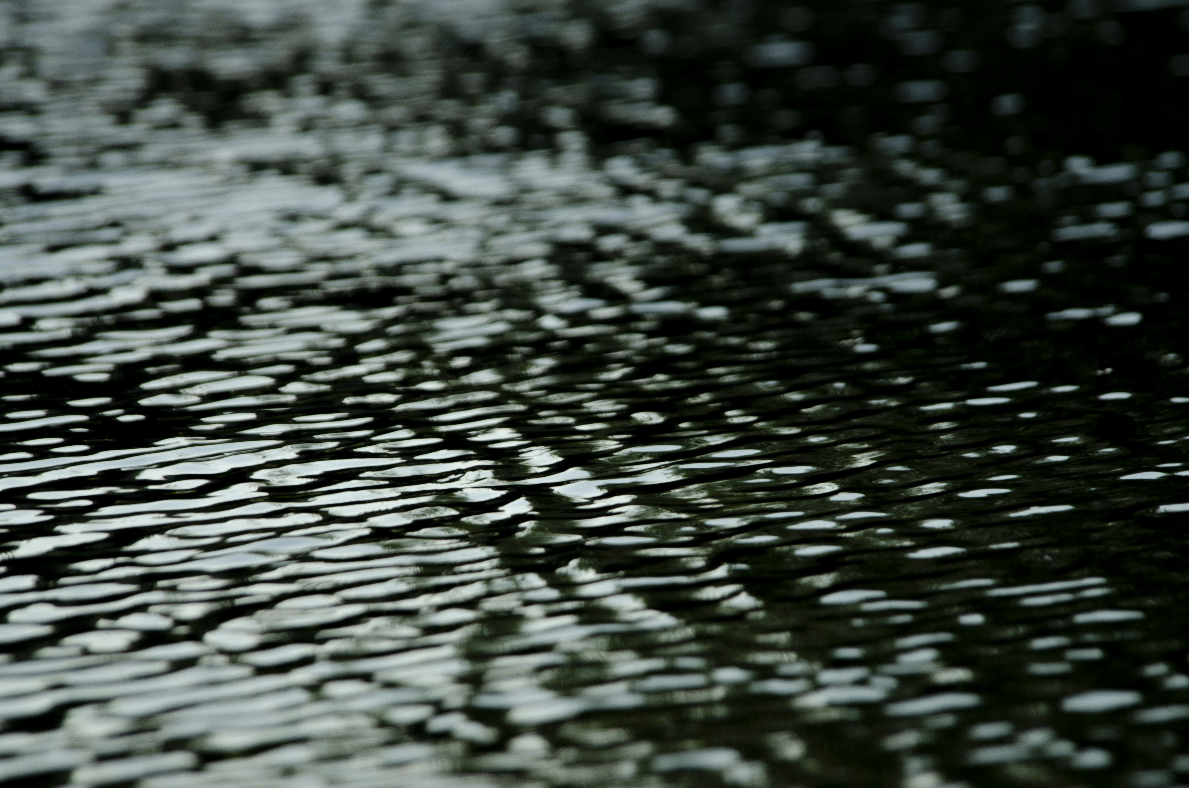 Dappled Ripples on Evening Water