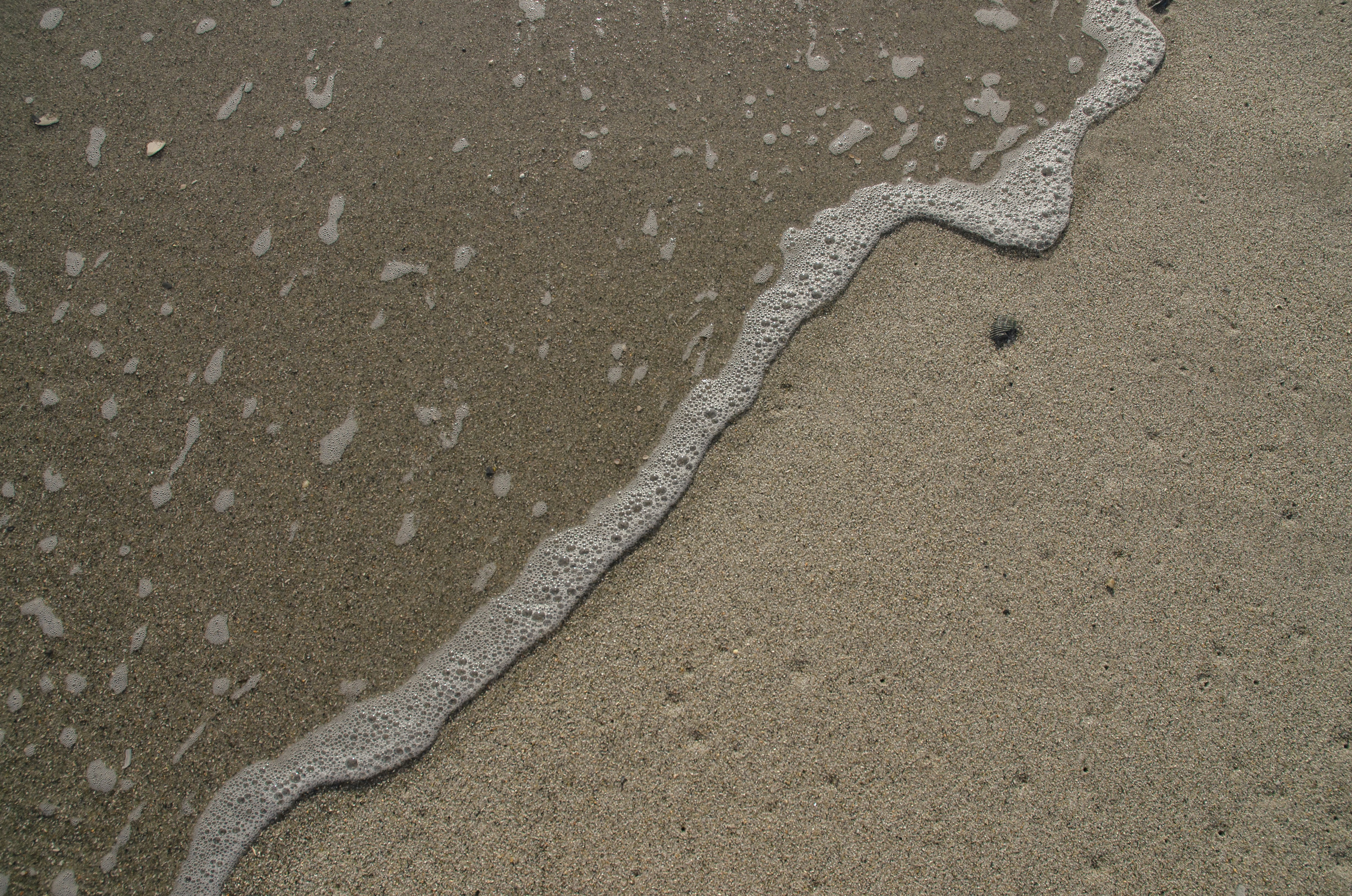Foam Edge on Quiet Shore: A Minimal Seascape