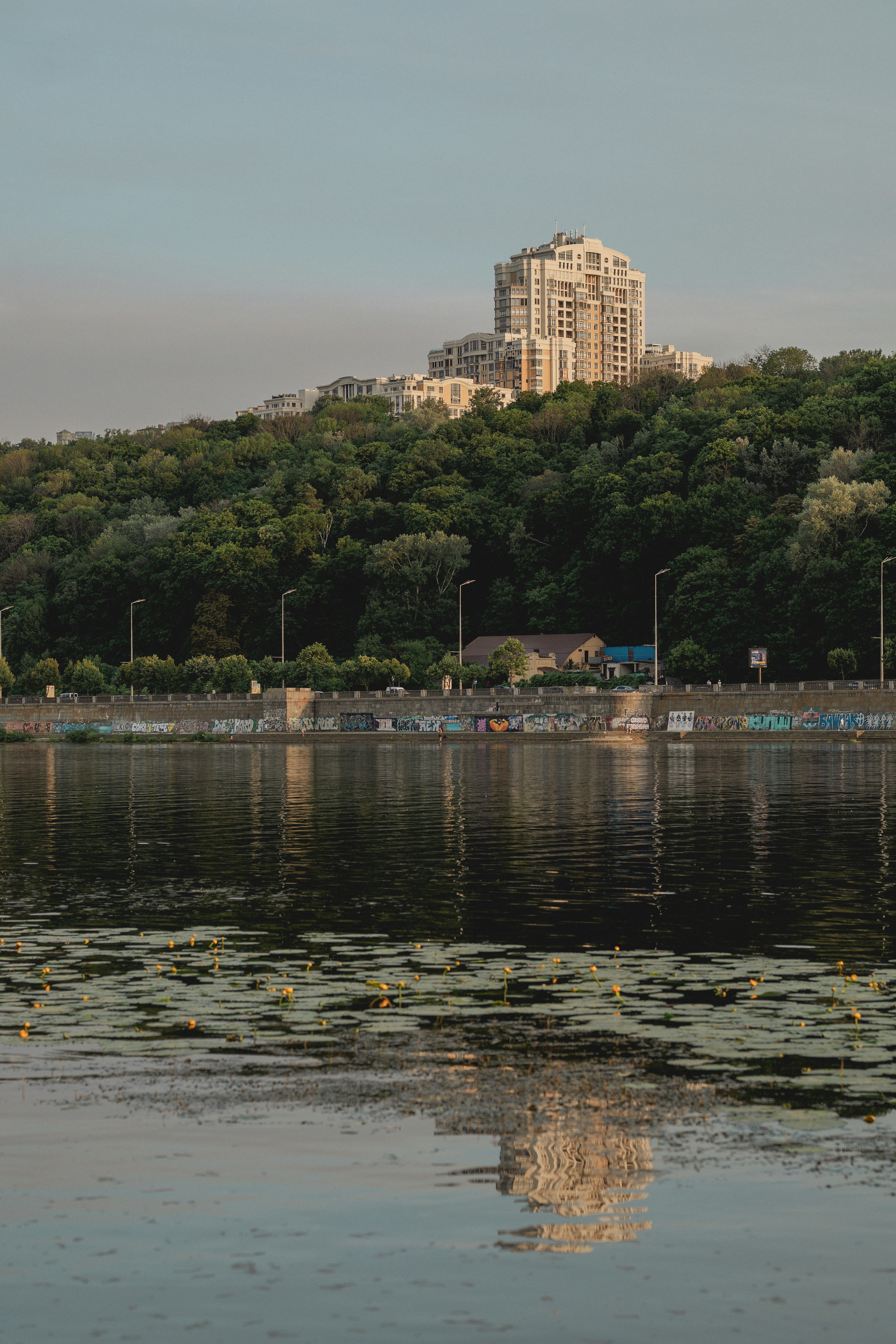 Hilltop Tower Rising Over the Riverside Forest