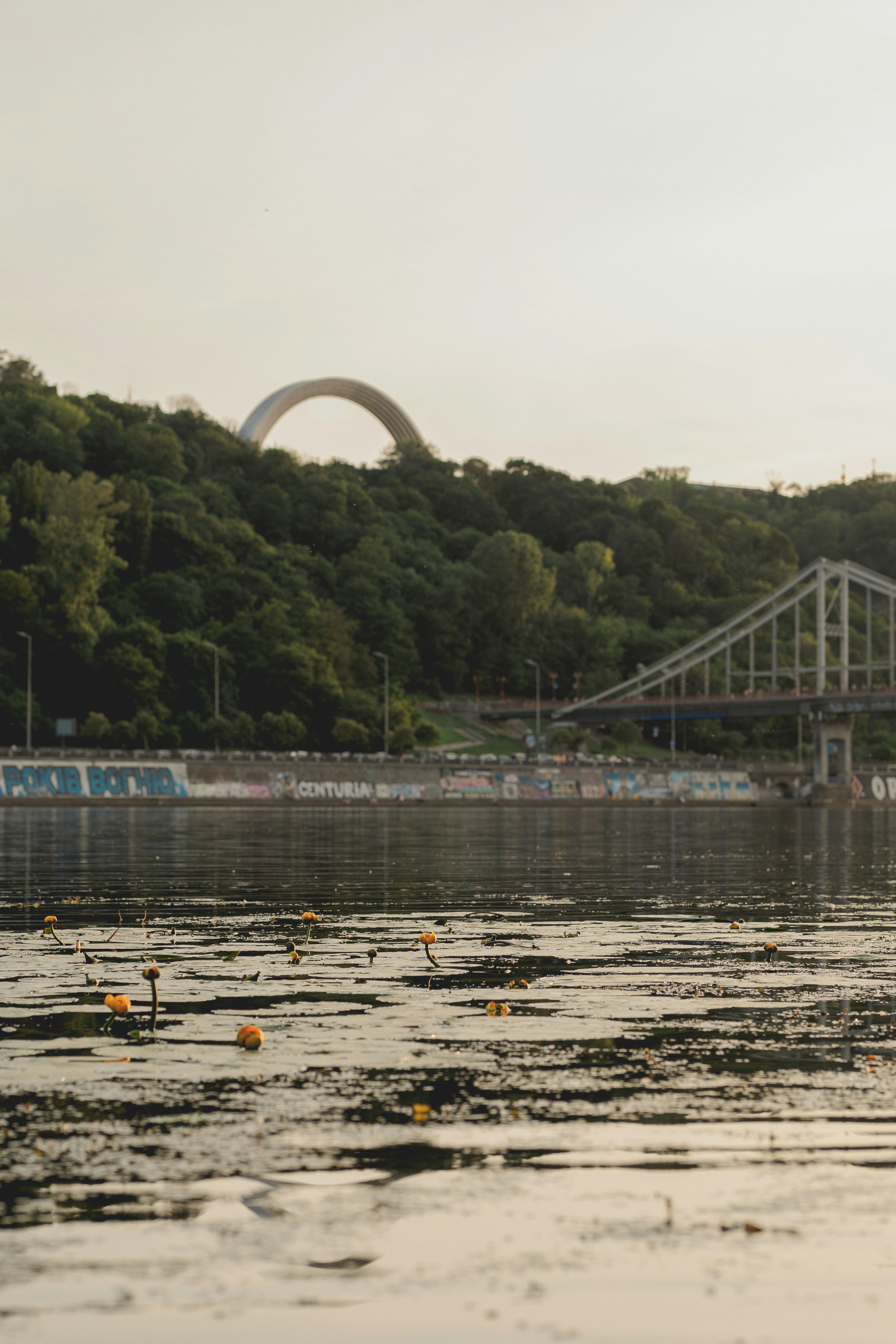 Industrial Riverbank at Dusk: A Bridge, a Ringed Hill, and Floating Lilies