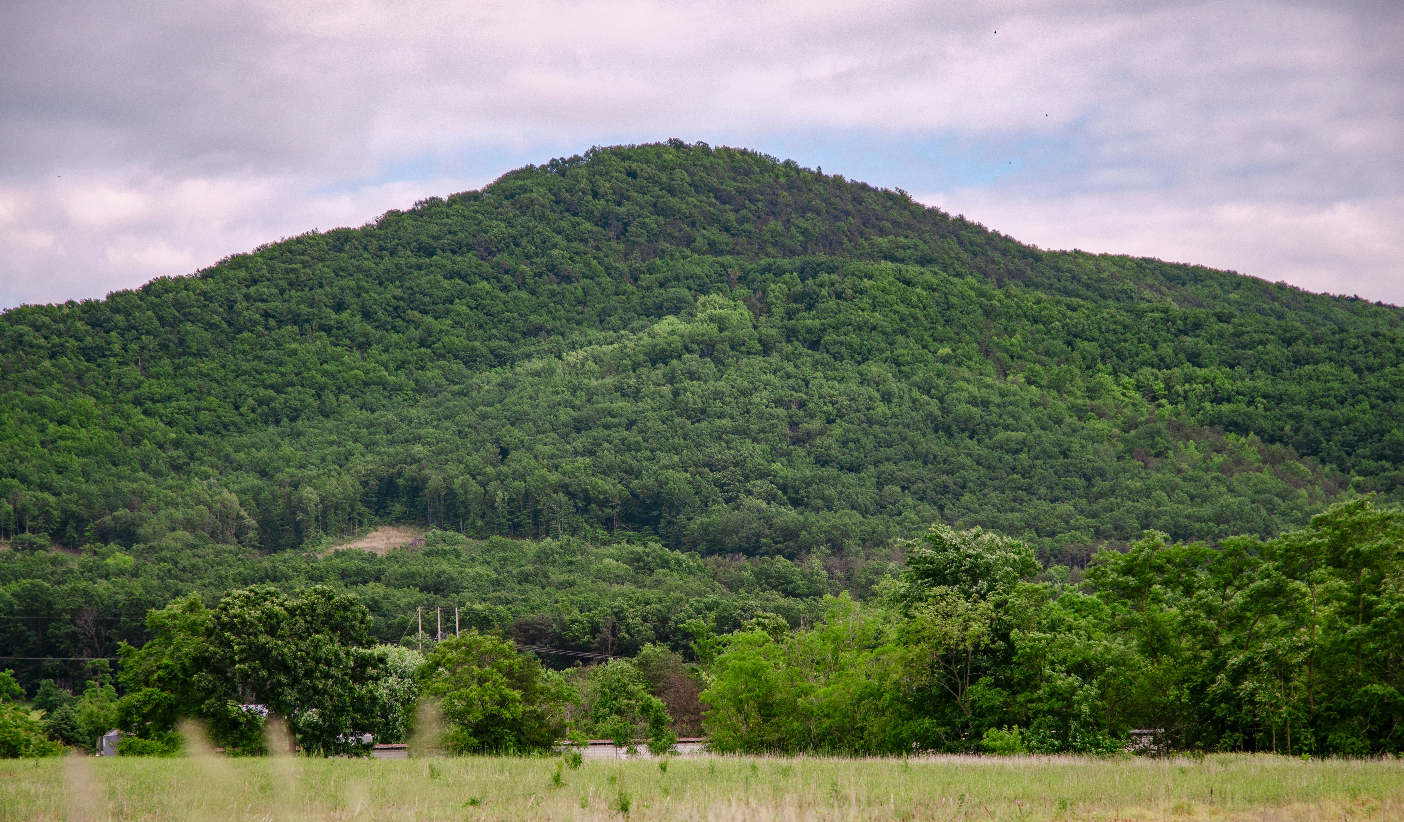 Verdant Summit: A Quiet Hill Nestled in Greenery
