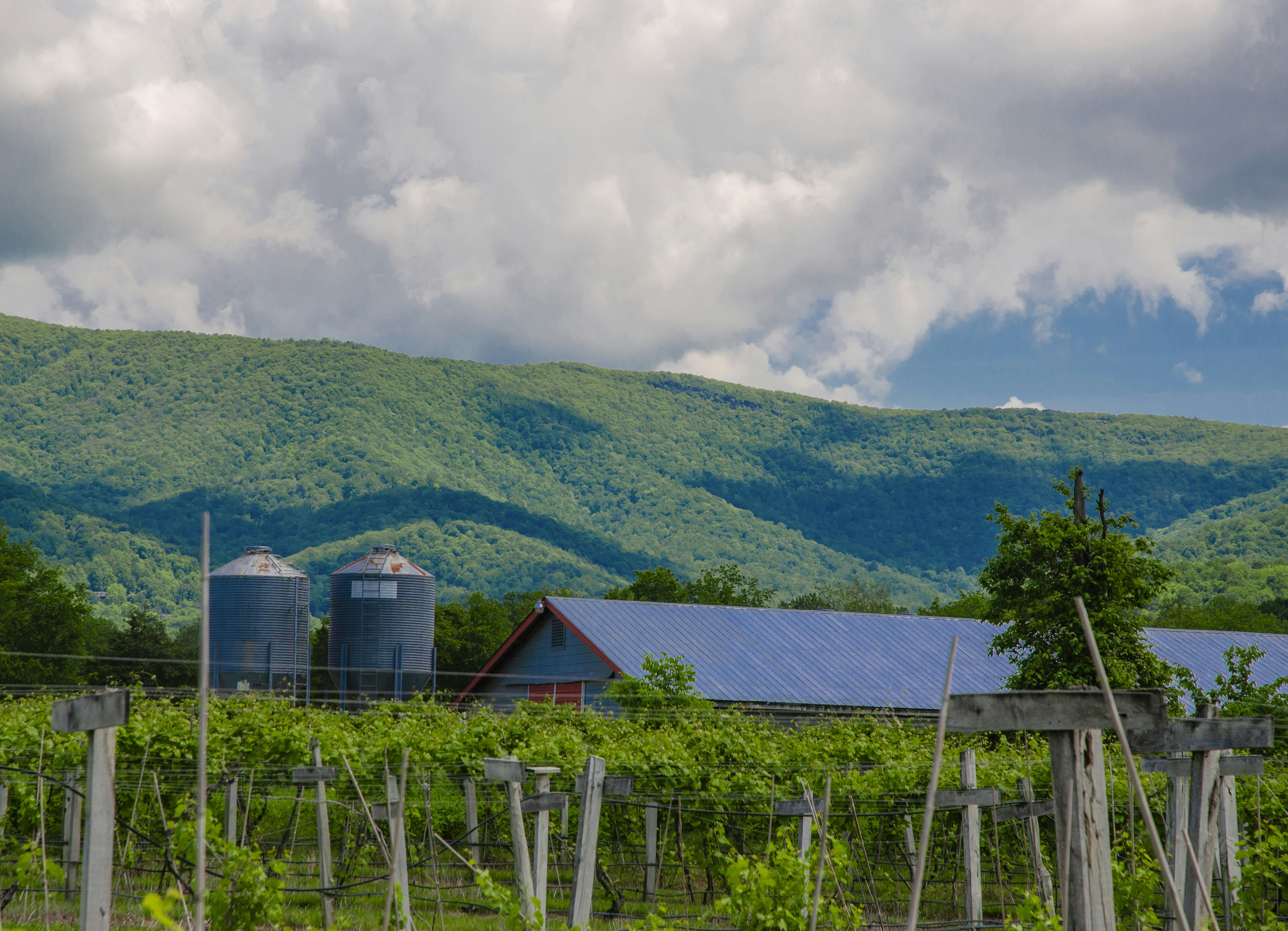 Sunlit Farmyard Beyond the Rolling Blue Mountains