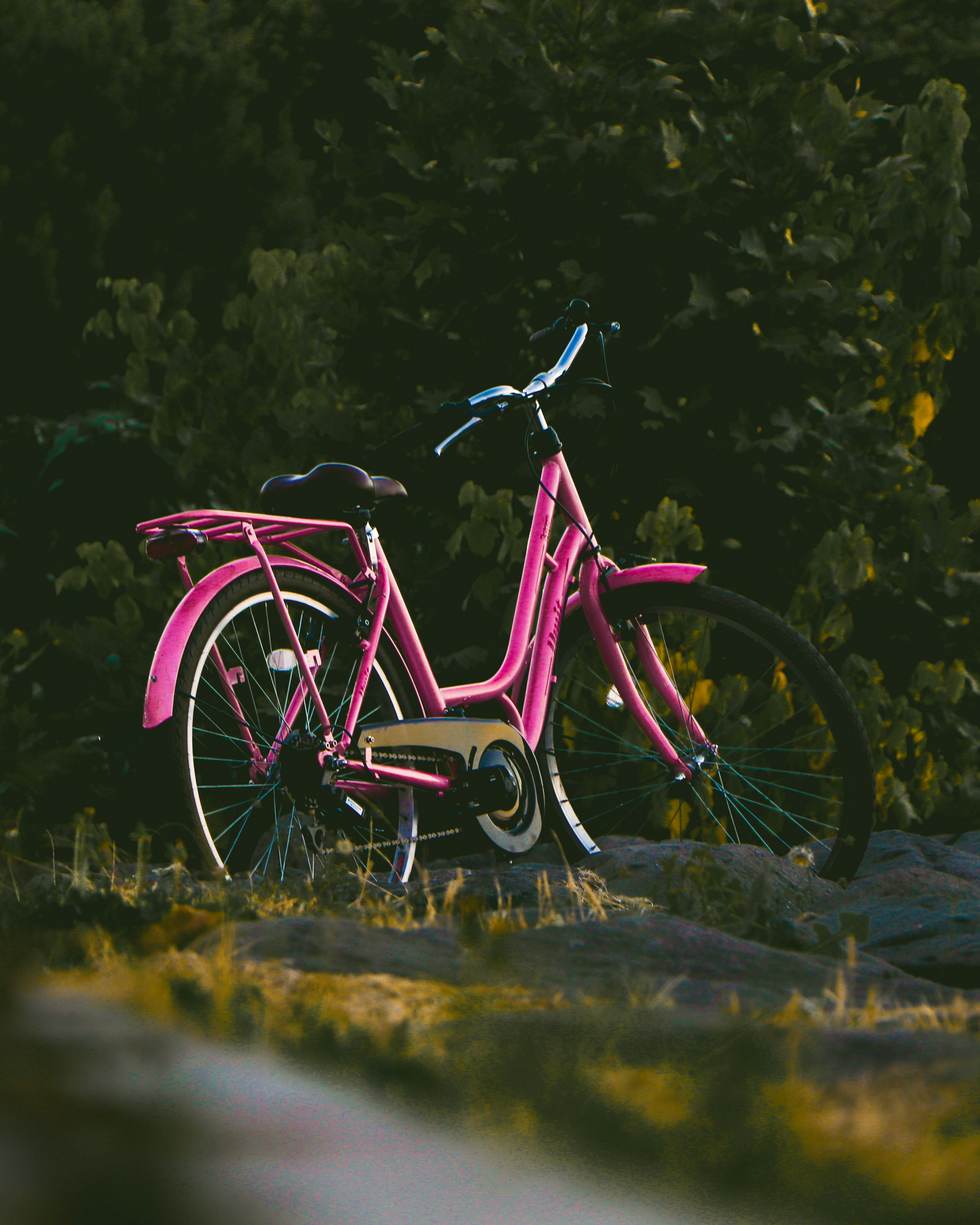 A pink bicycle rests on a rocky patch with lush greenery in the background, bathed in warm, late-afternoon light. This candid scene emphasizes the bike as the focal point against a natural setting.