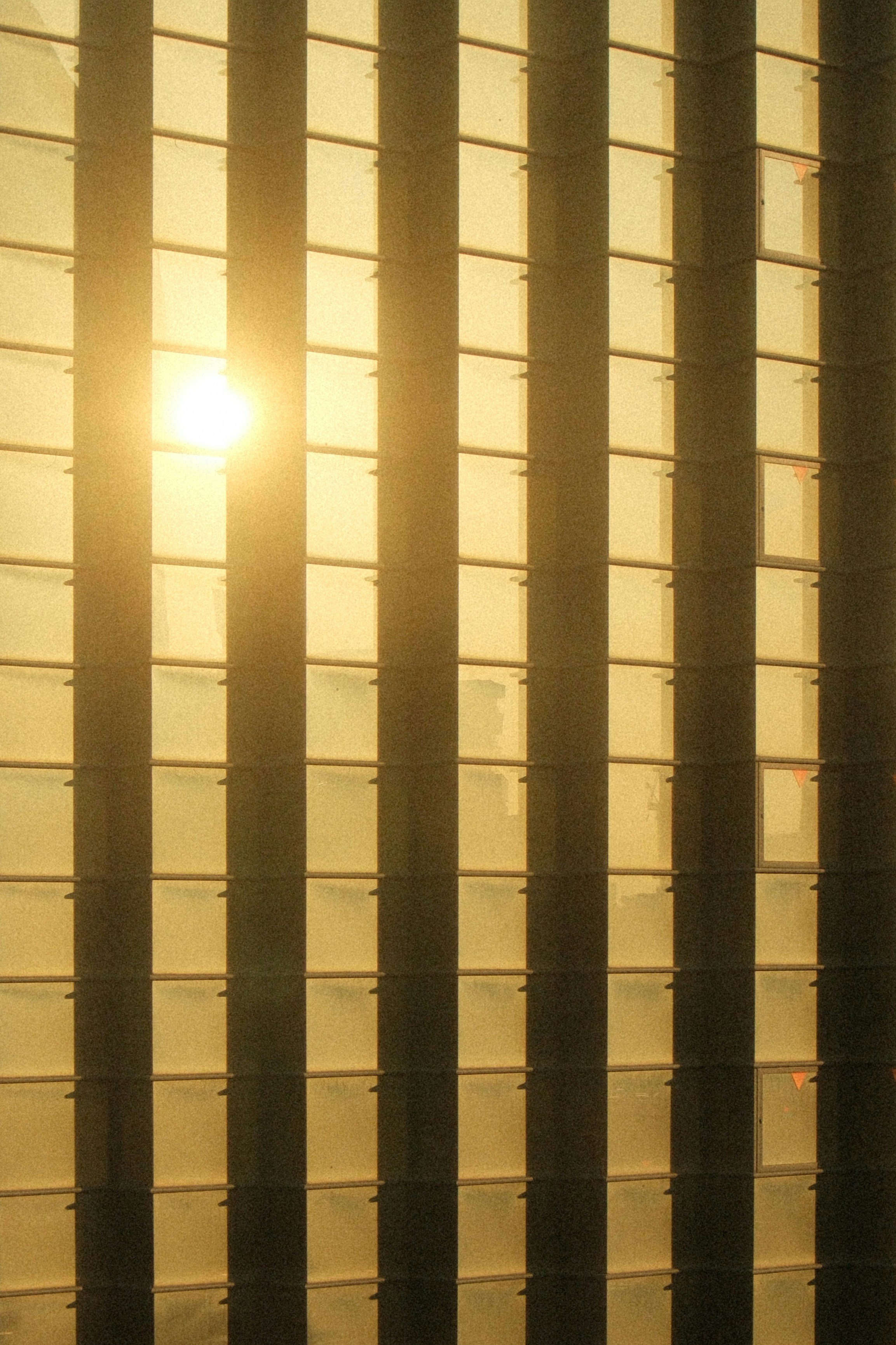 Sunlit Grid: Vertical Slats Framed by Morning Fractures