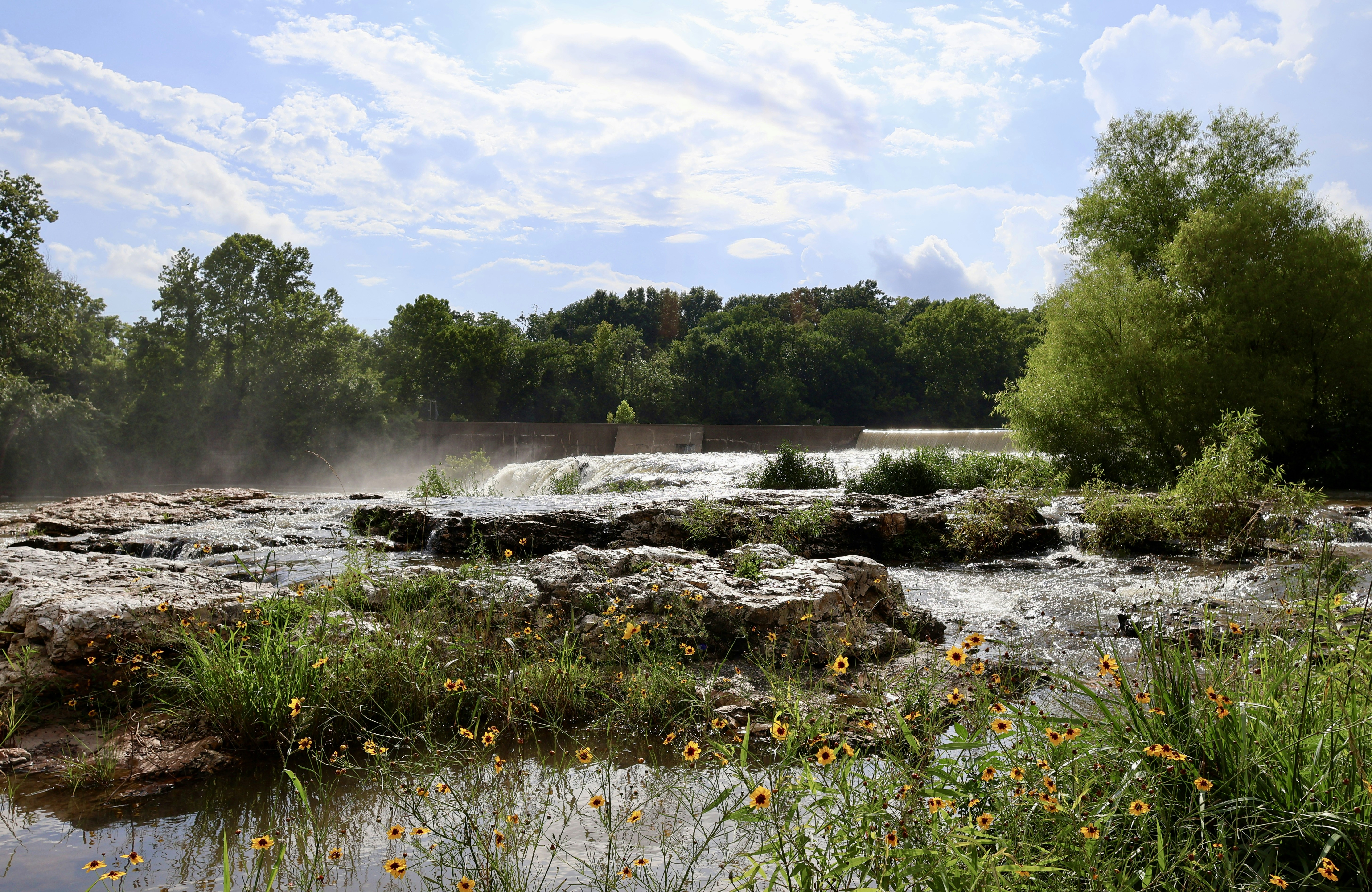 Rushing Waters over sunlit river rocks with wildflowers