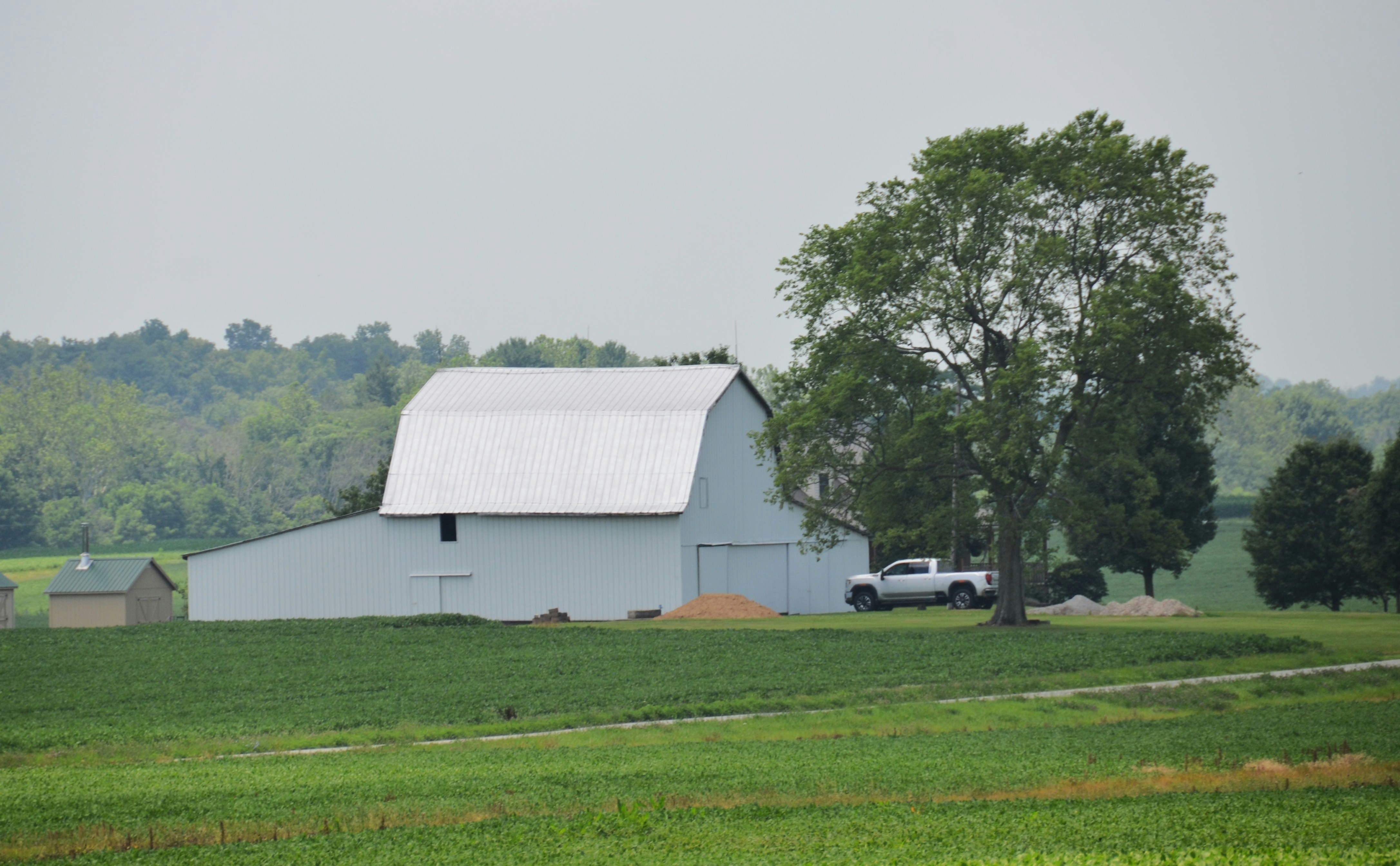 White barn and lone tree on a rural farm landscape