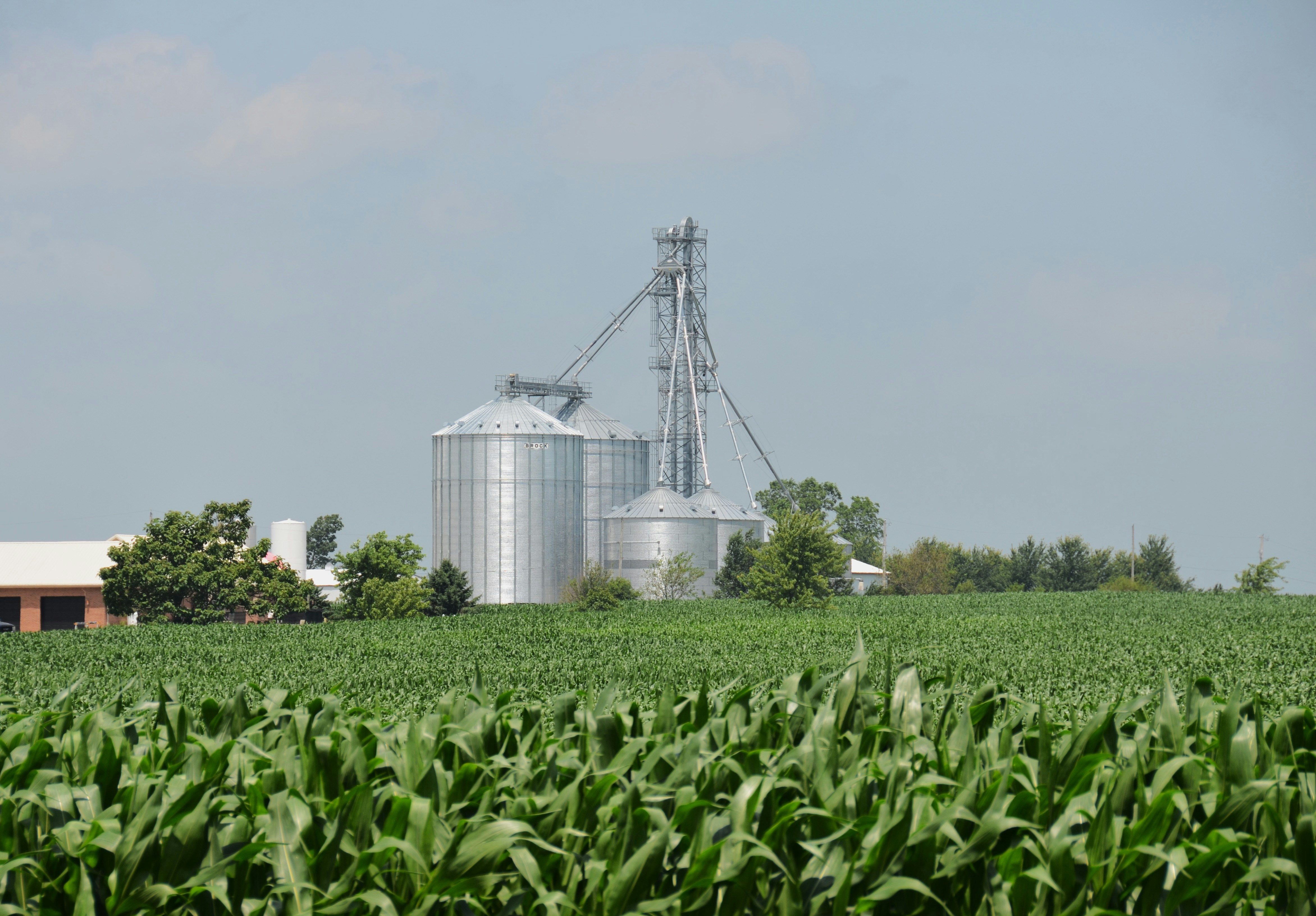 Grain Silos Rising Beyond Rowed Fields