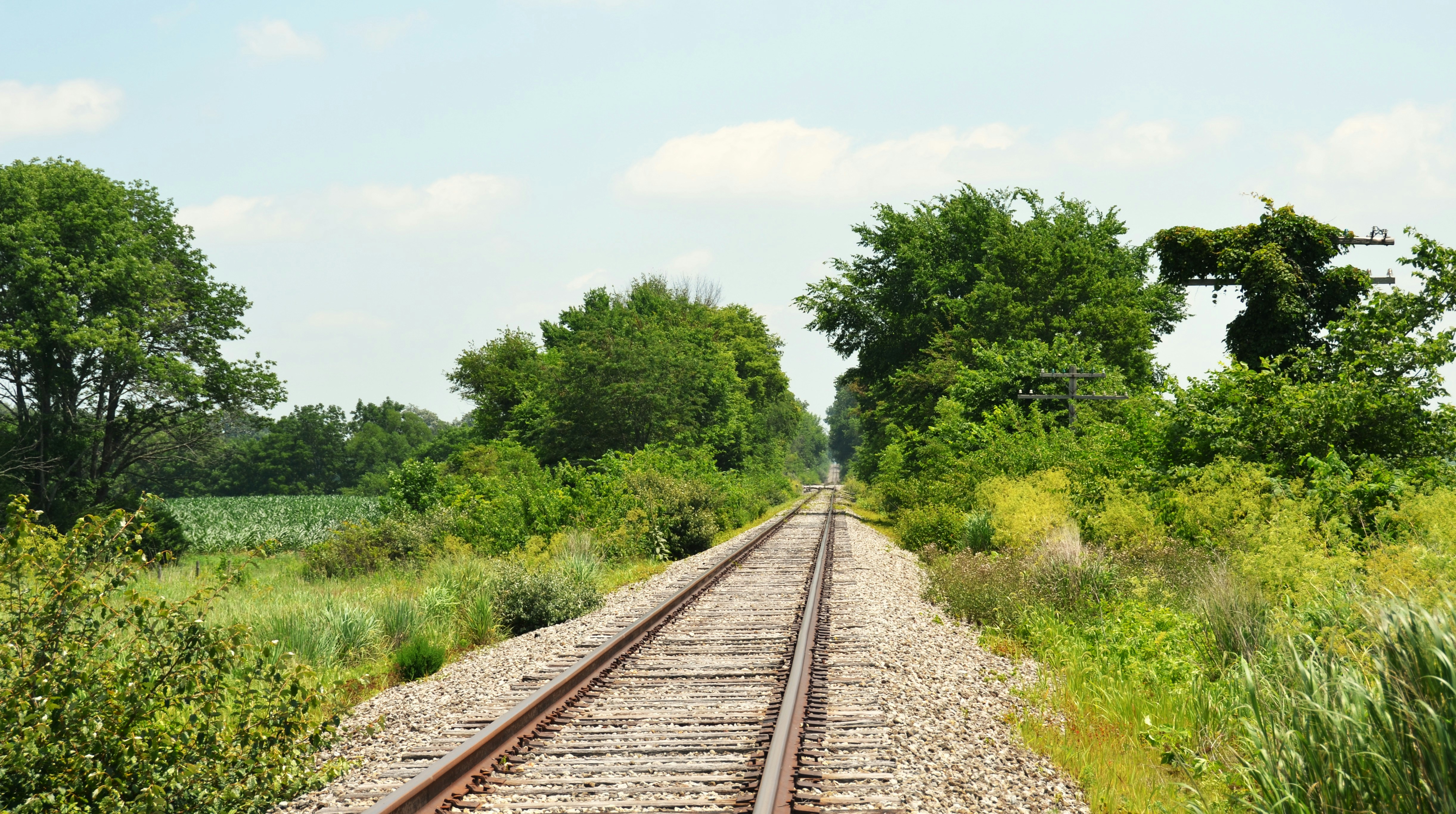 Tracks to the Horizon: Quiet Parallel Lines Through a Green Corridor