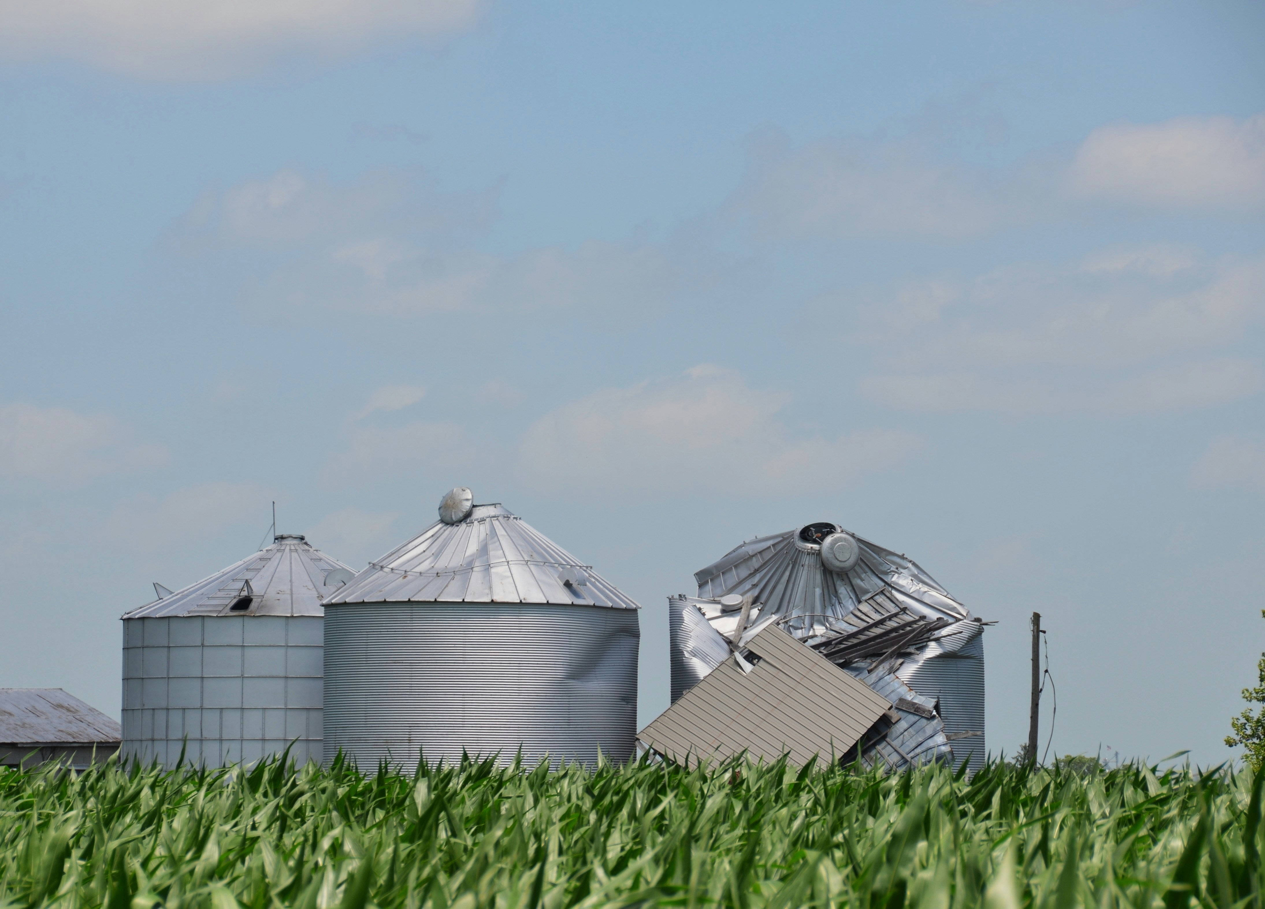 Grain Silos on the Horizon: A Quiet Farmstead