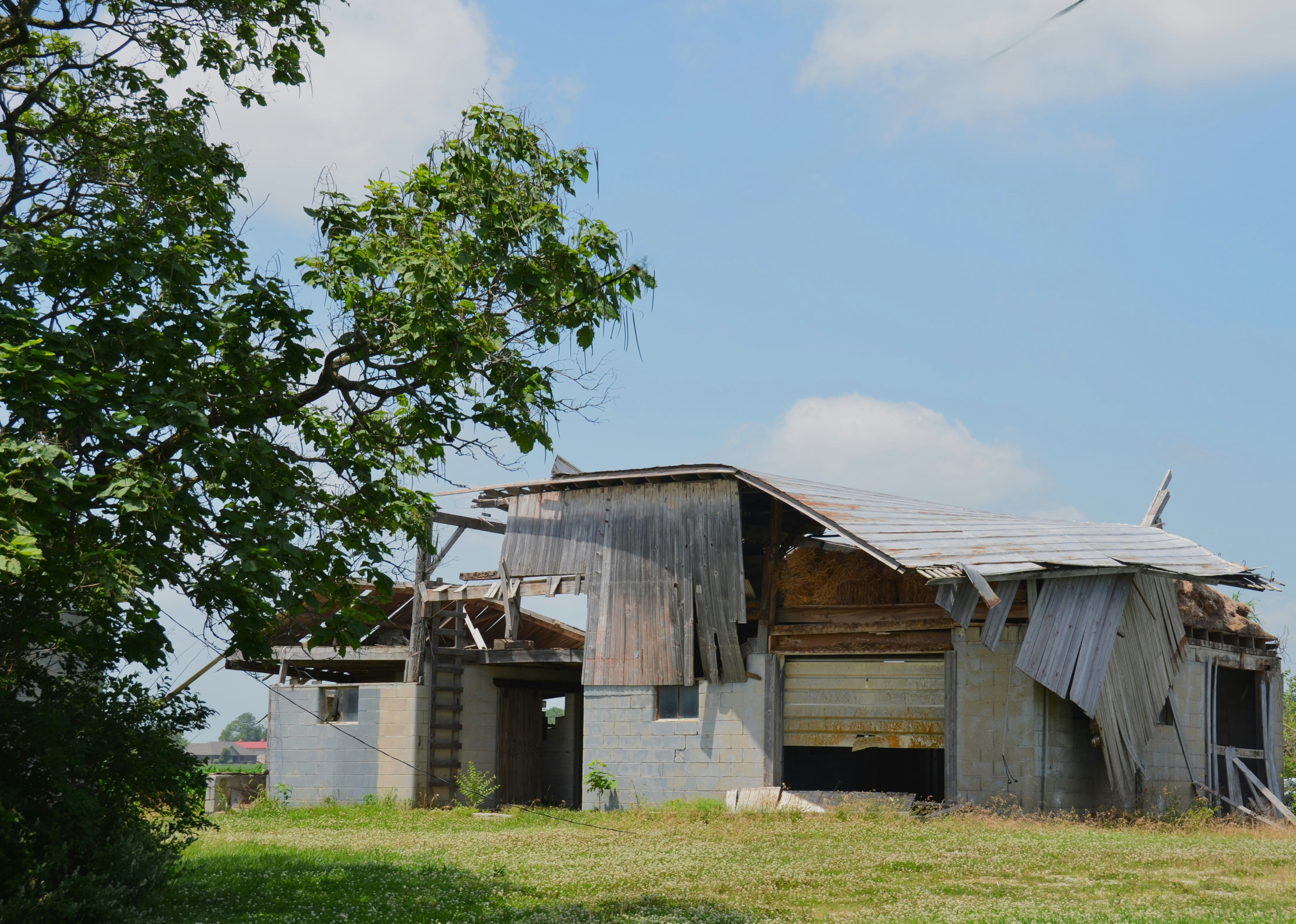 Weathered Shelter: A Rustic Farmstead in Dappled Light