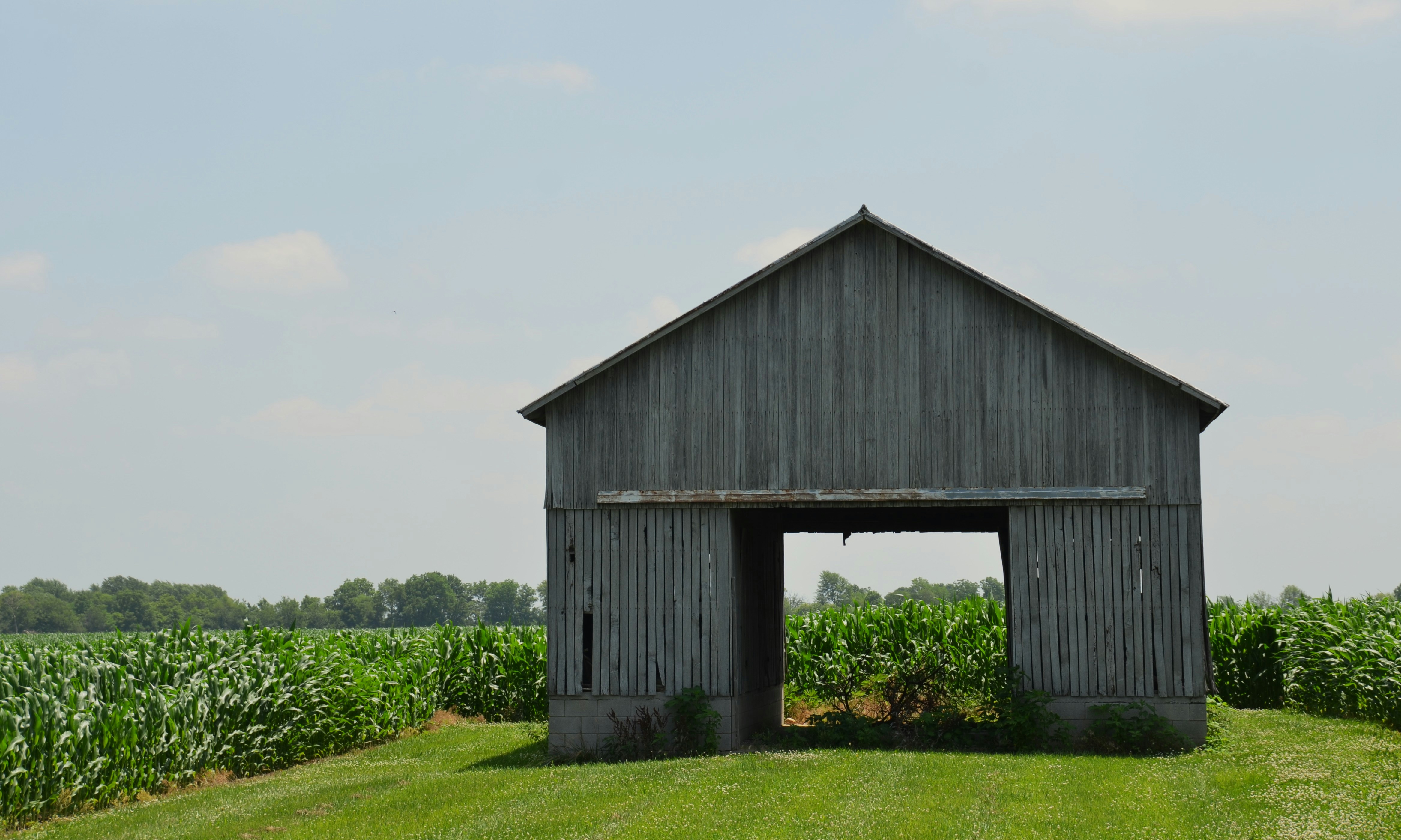 Lonely Barn Gateway in a Sea of Green