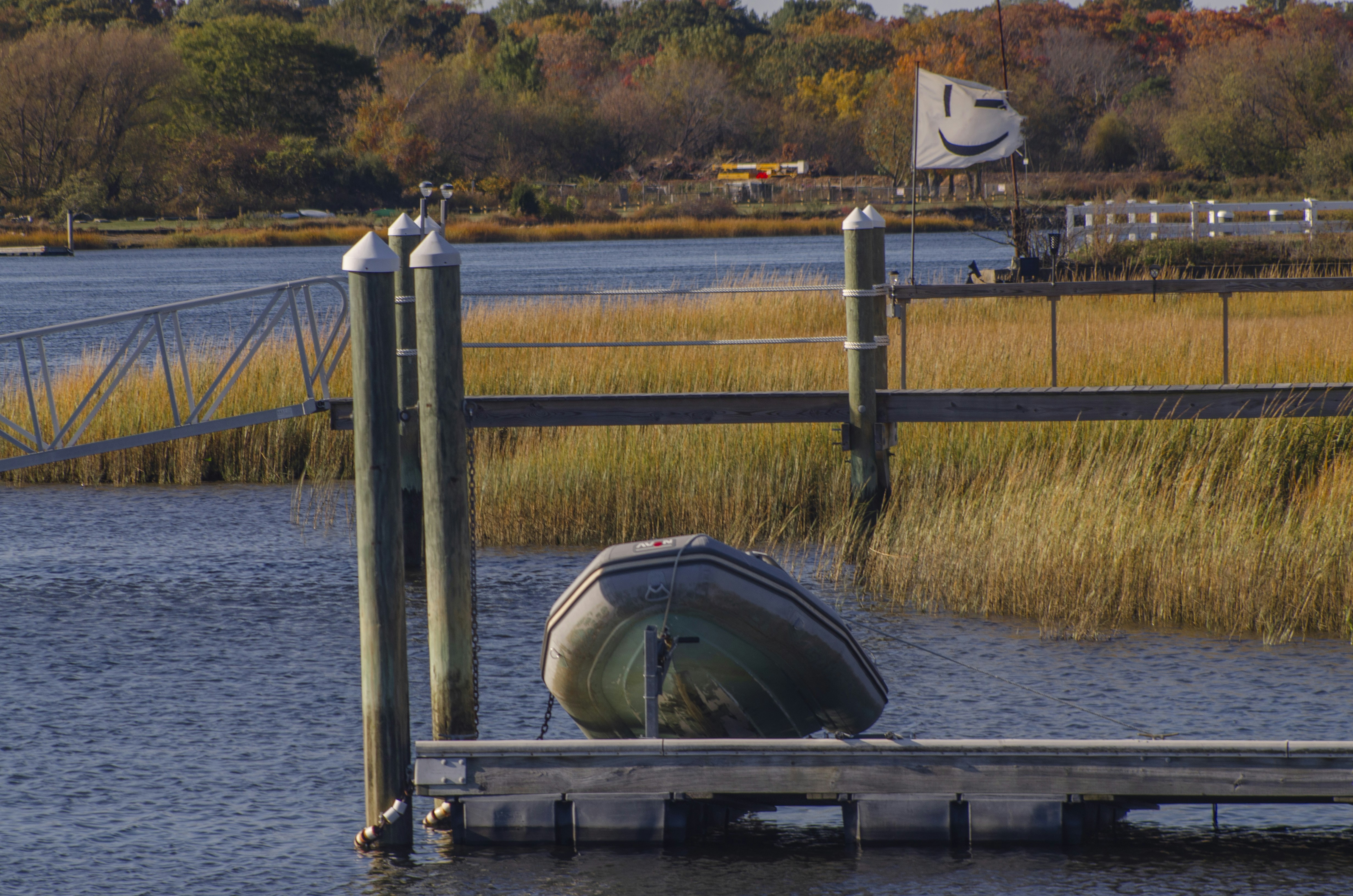 Moored at the Marsh Edge