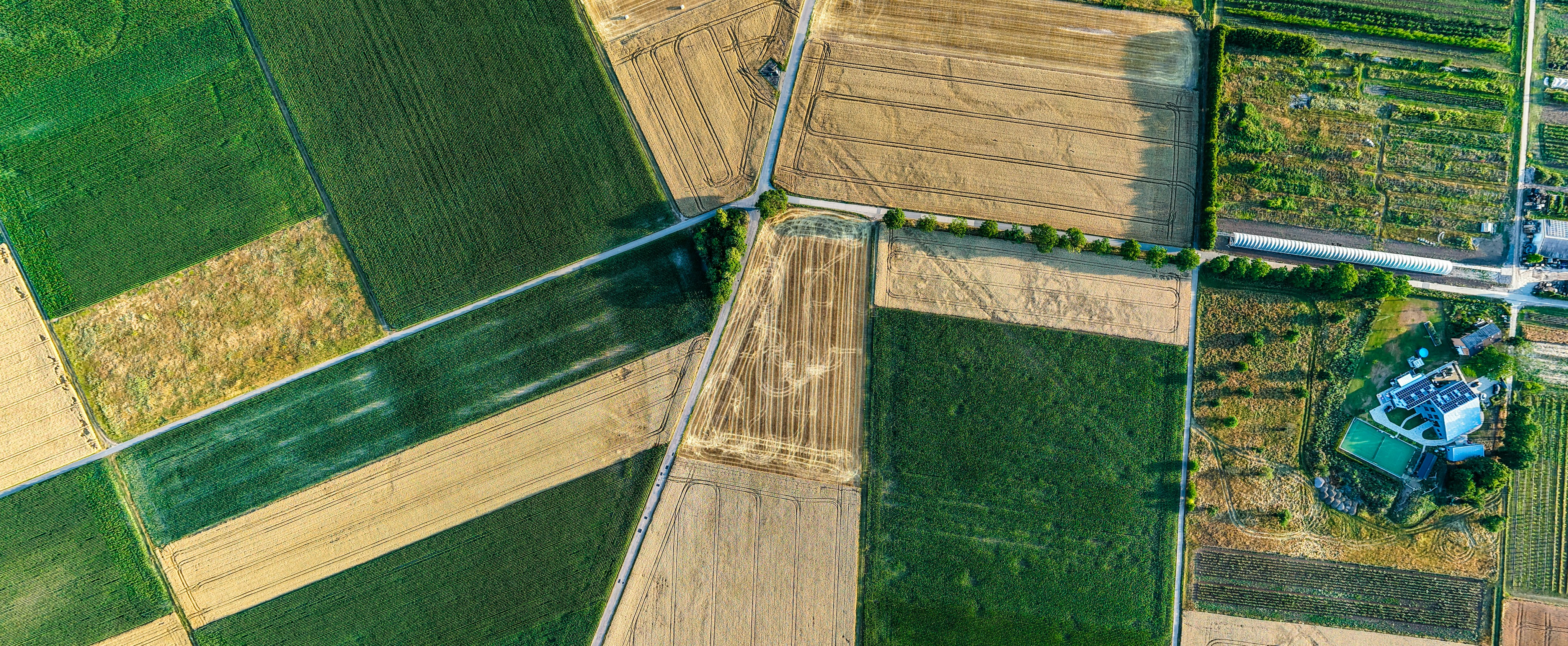 Crisscross Fields: Aerial Patchwork over Rural Grid