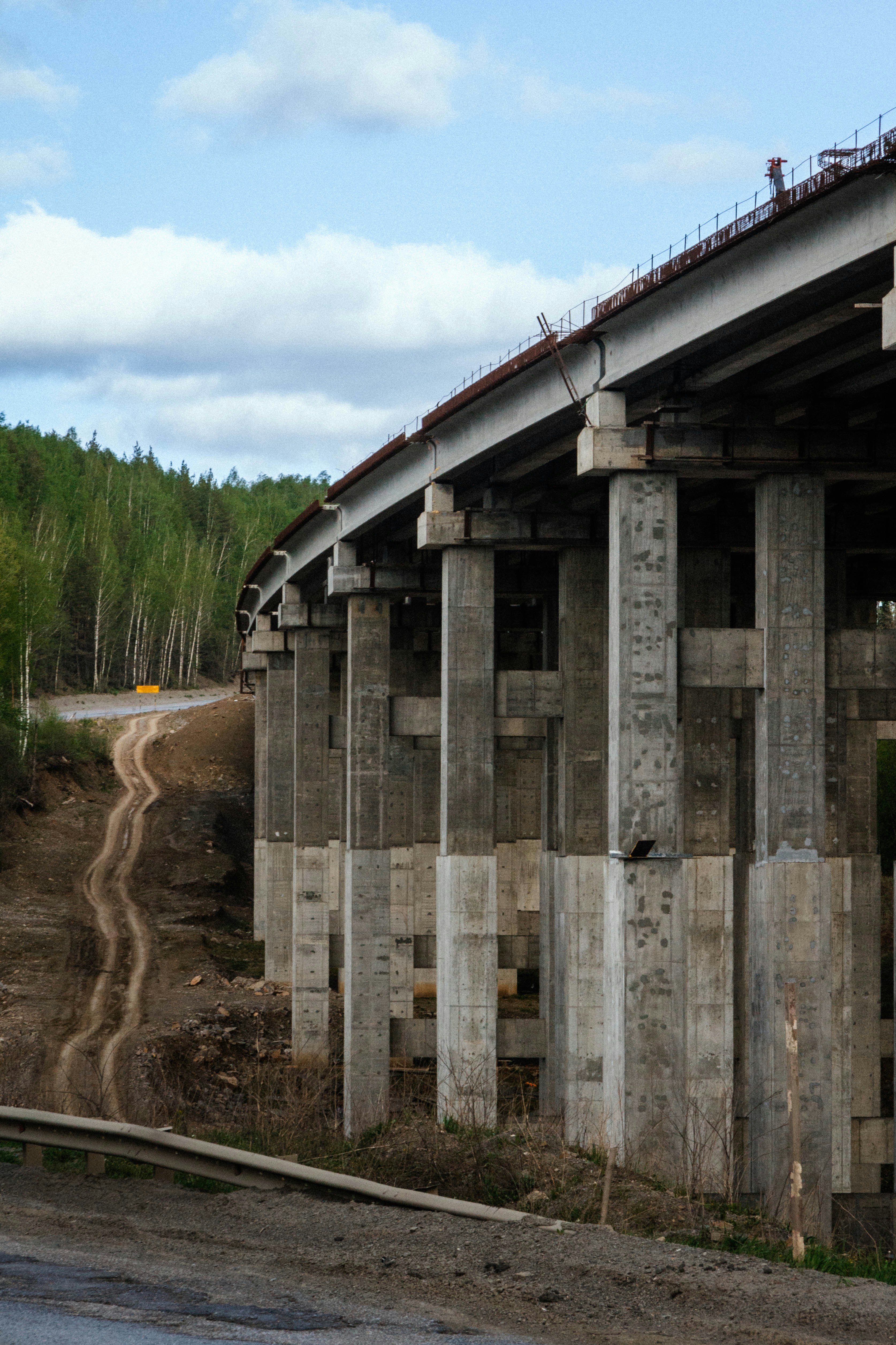A Concrete Arc: Under the Bridge of Parallel Piers