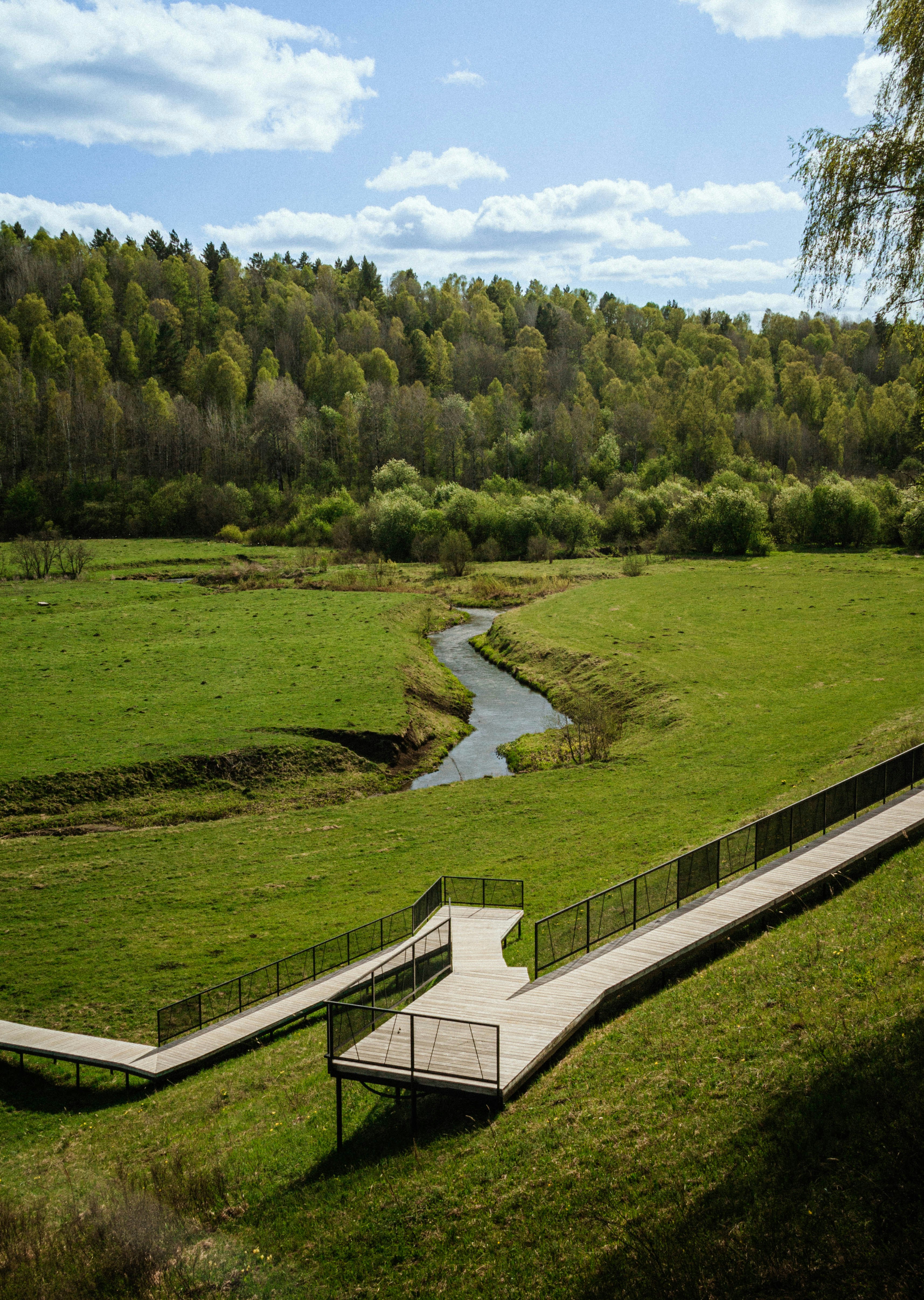 Winding River Boardwalk Through Sunlit Meadow