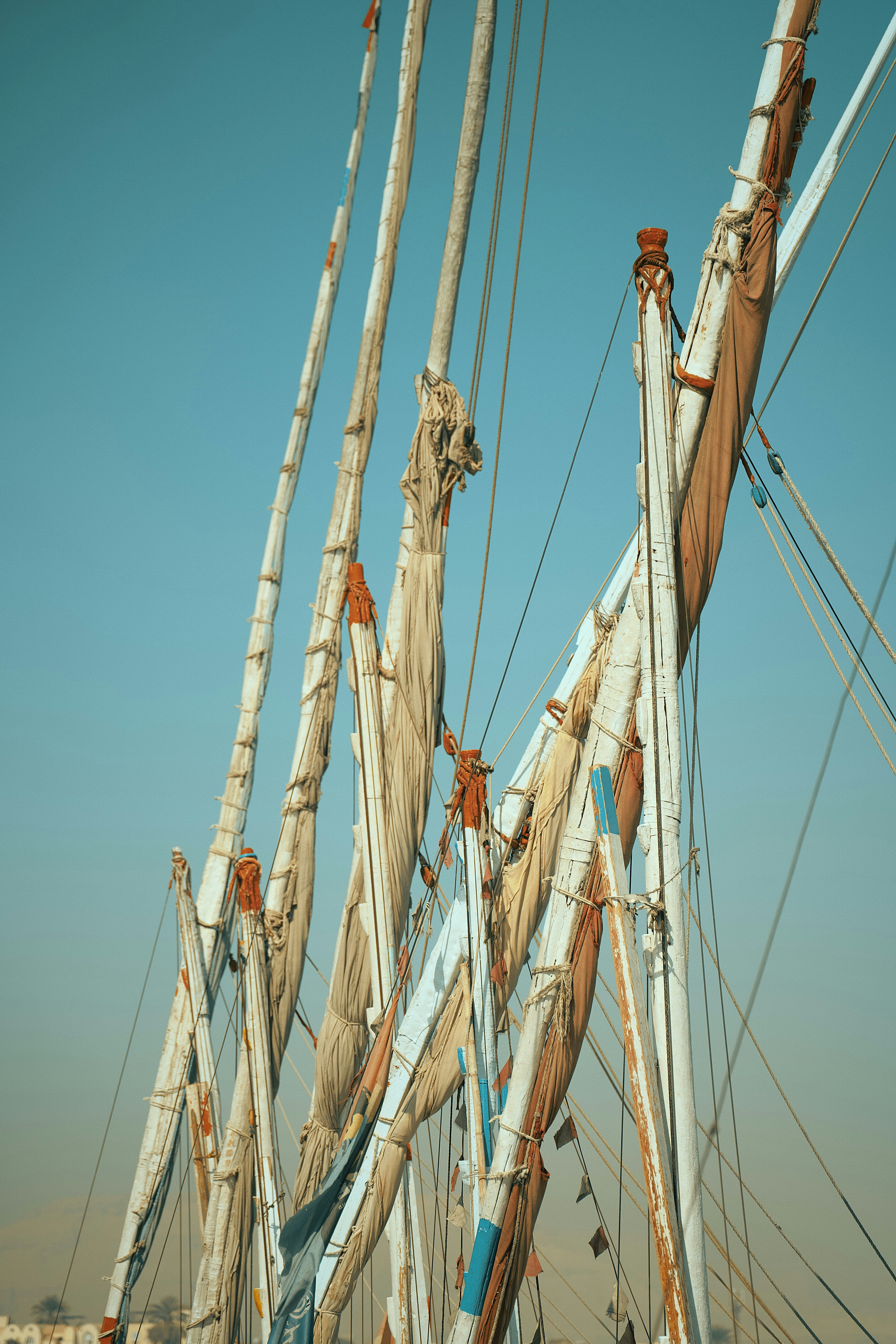 Tangled Masts: A Sea of Sails Reaching into a Clear Sky
