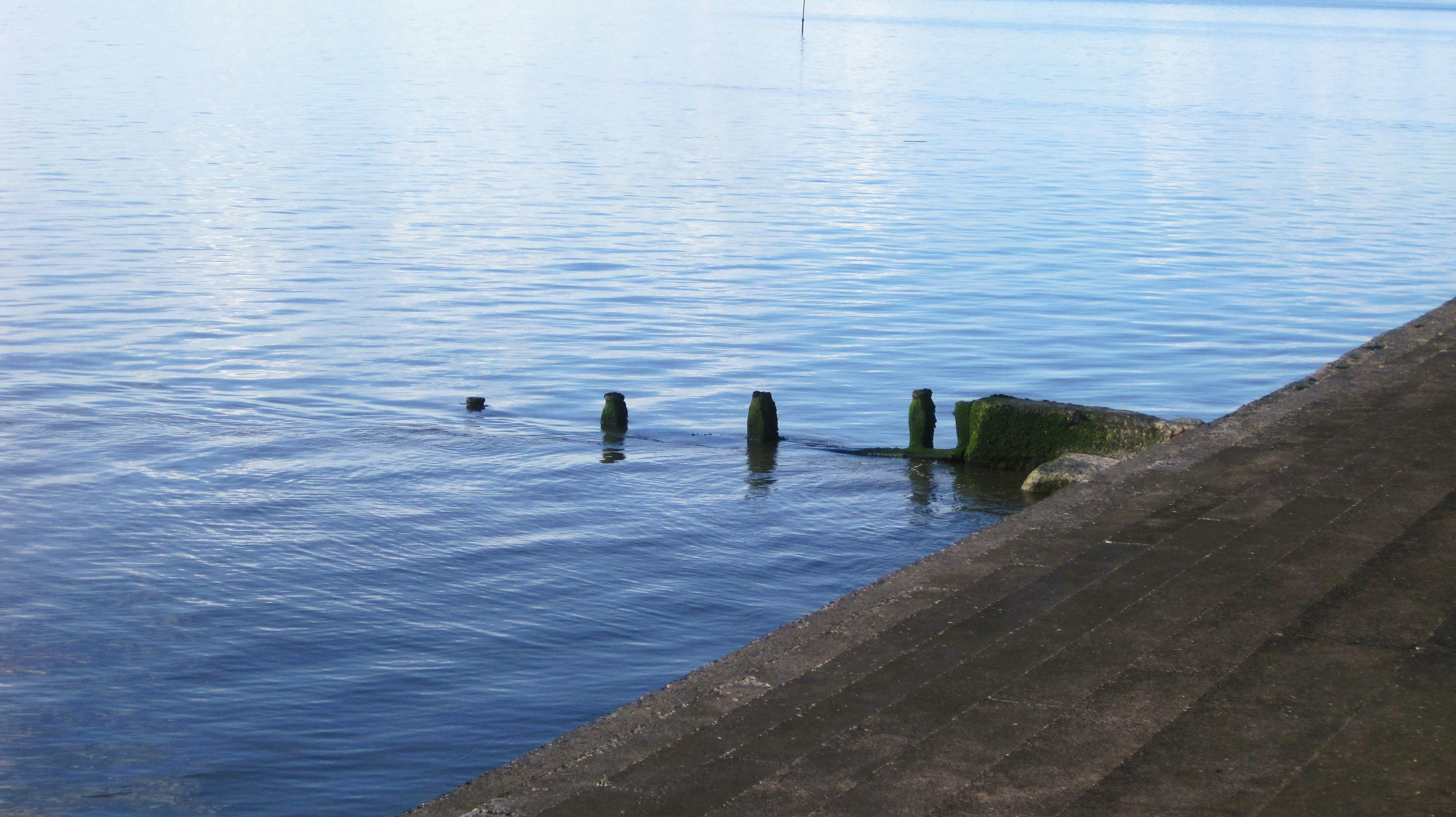 Calm Lake Edge with Weathered Pier Steps