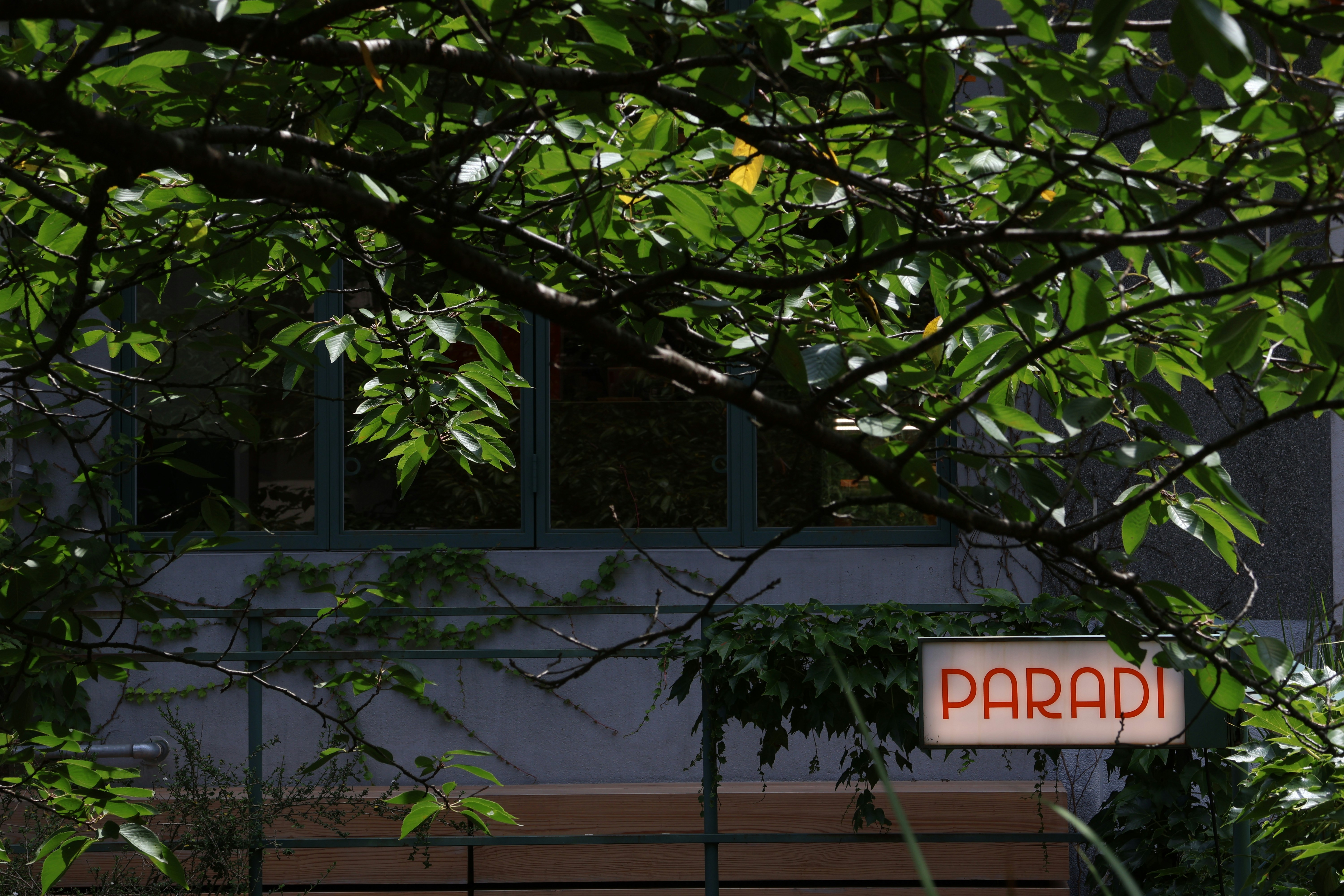 Hidden Signage Through the Foliage