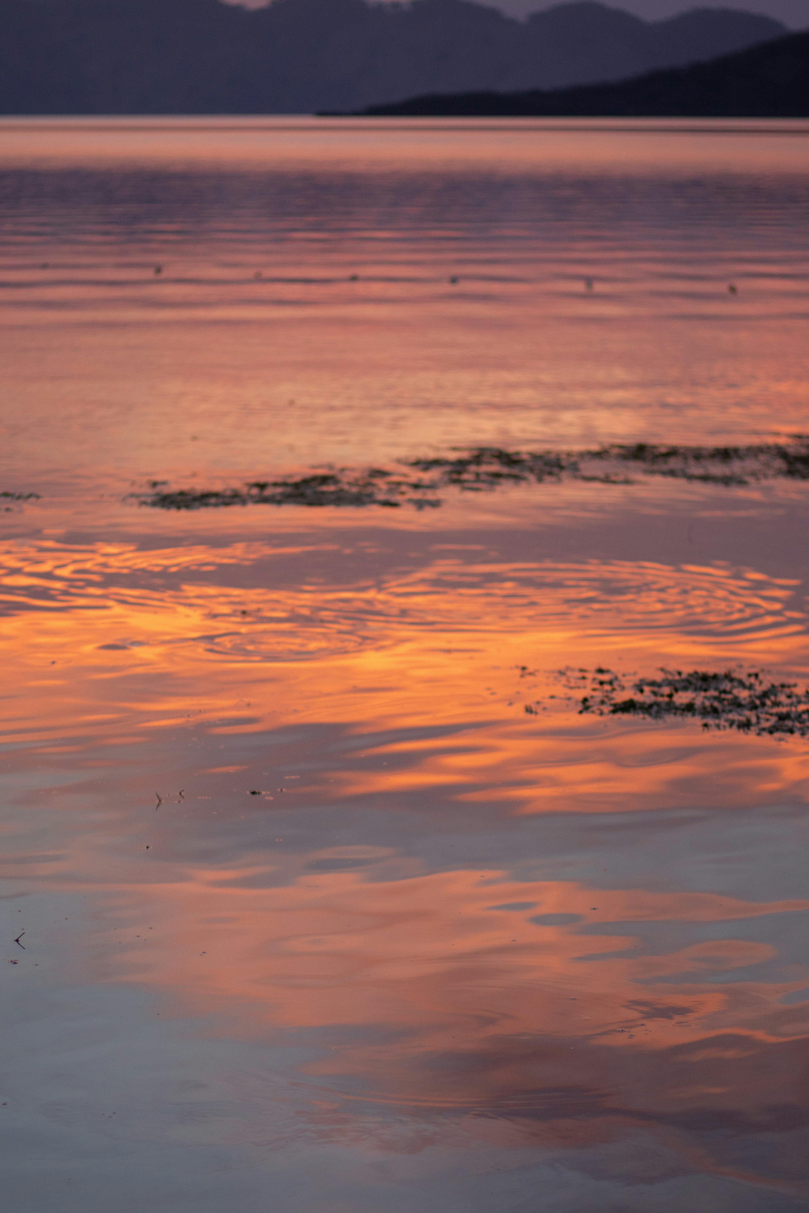 Silent Fjord Sunset: Reflections over Quiet Water