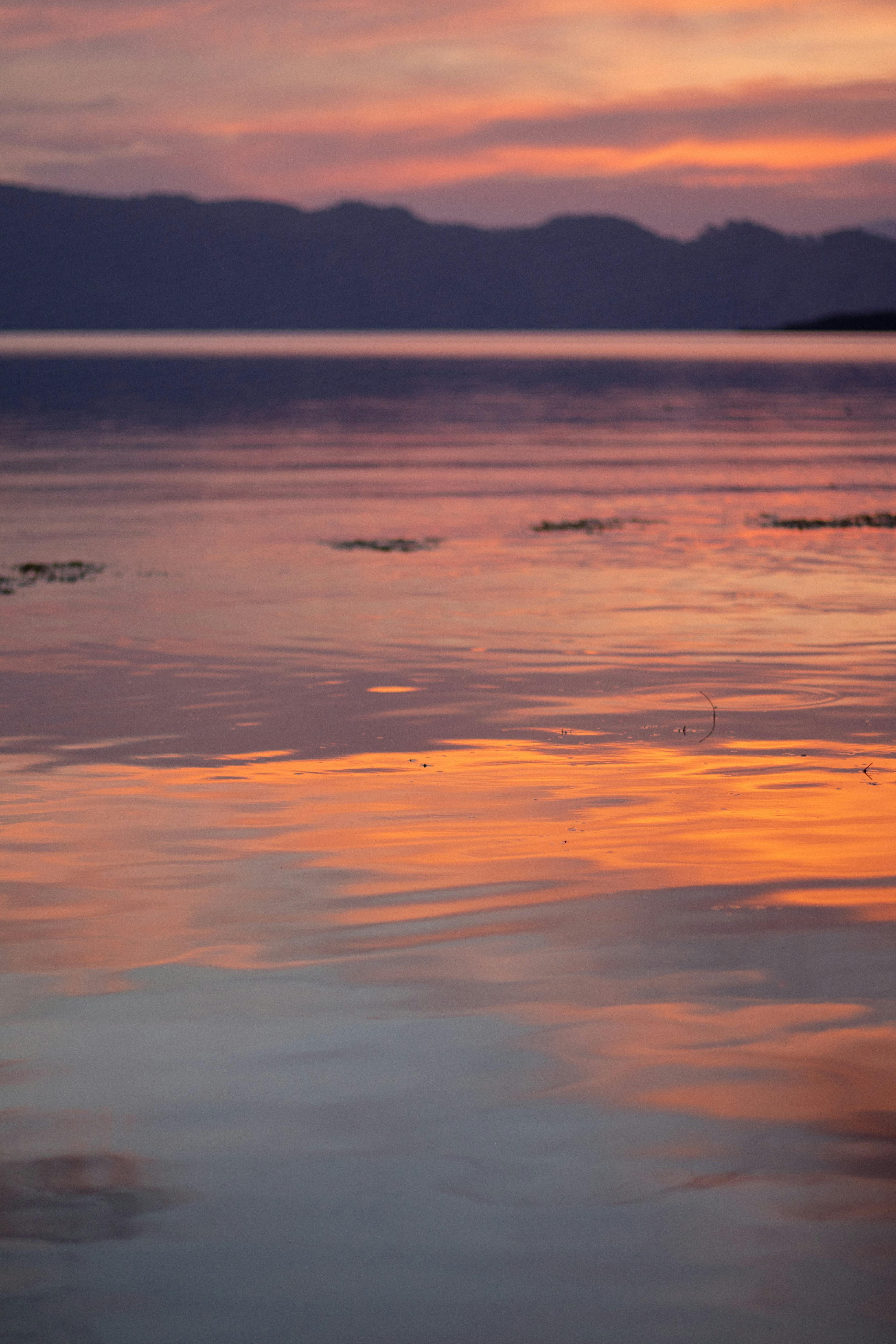 Sunset Over Quiet Water: A Velvet Horizon
