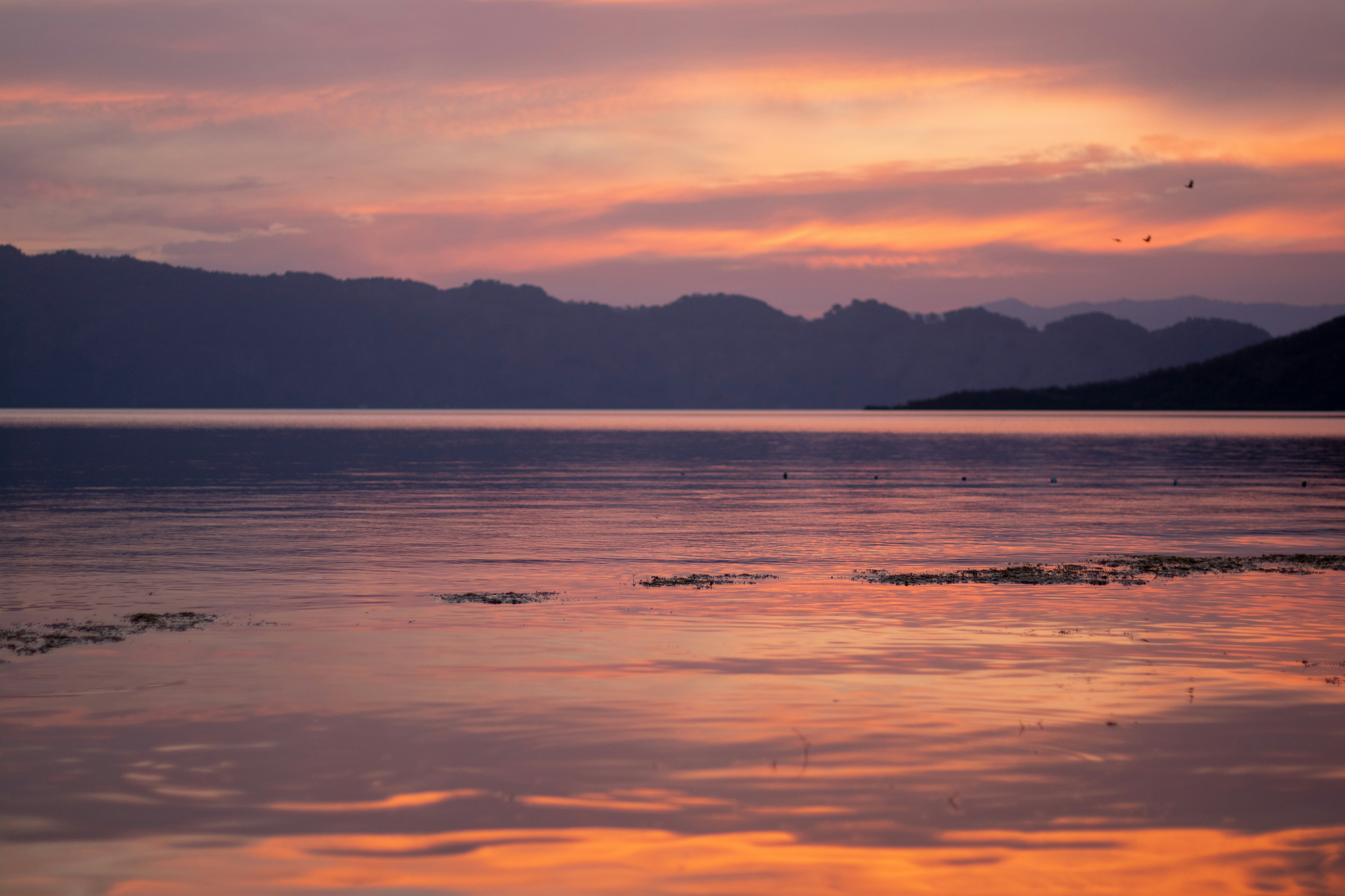 Quiet Horizon: Montaged Sunset over Calm Waters