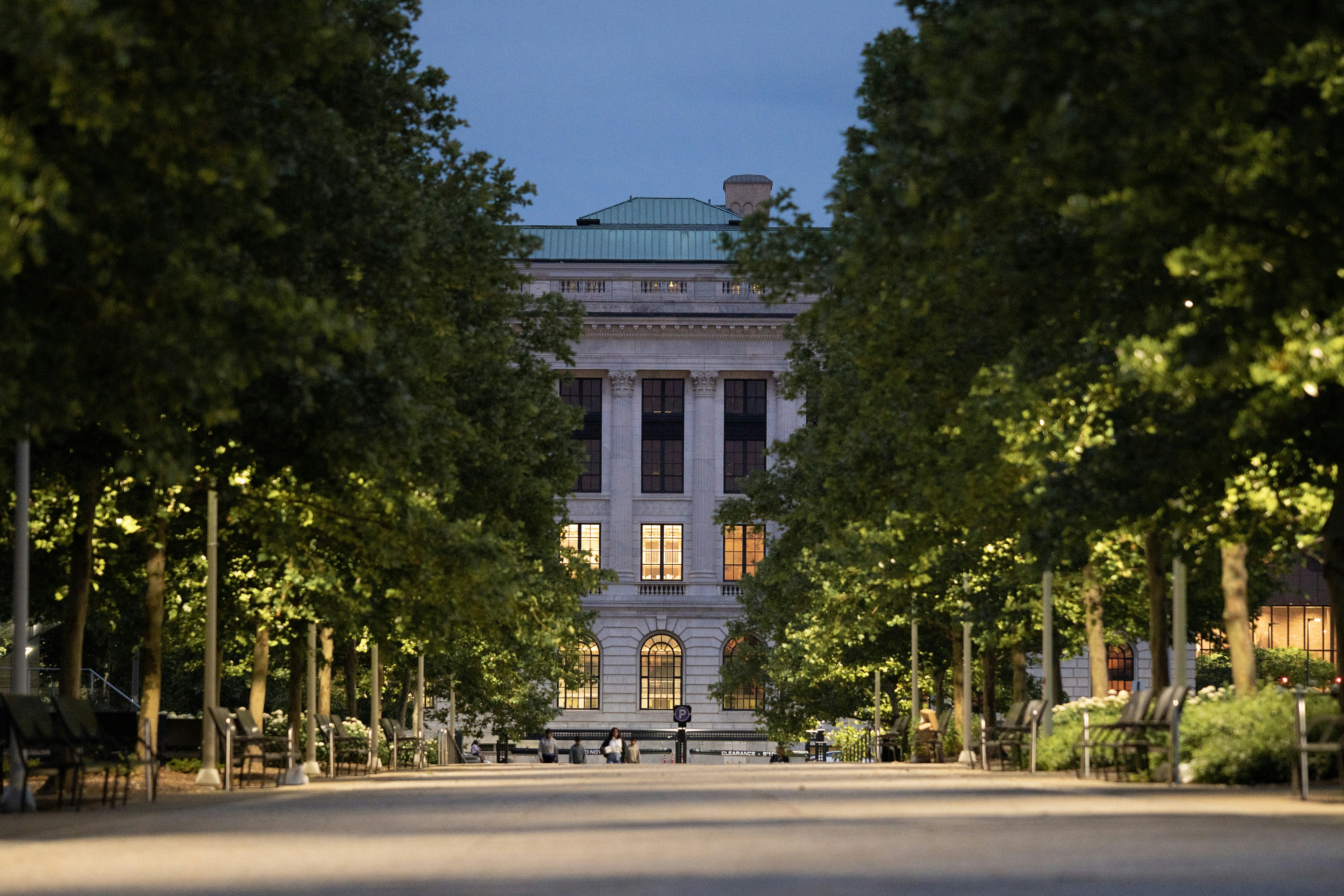 Evening Portal: A University Facade Framed by Fragrant Elm Avenues