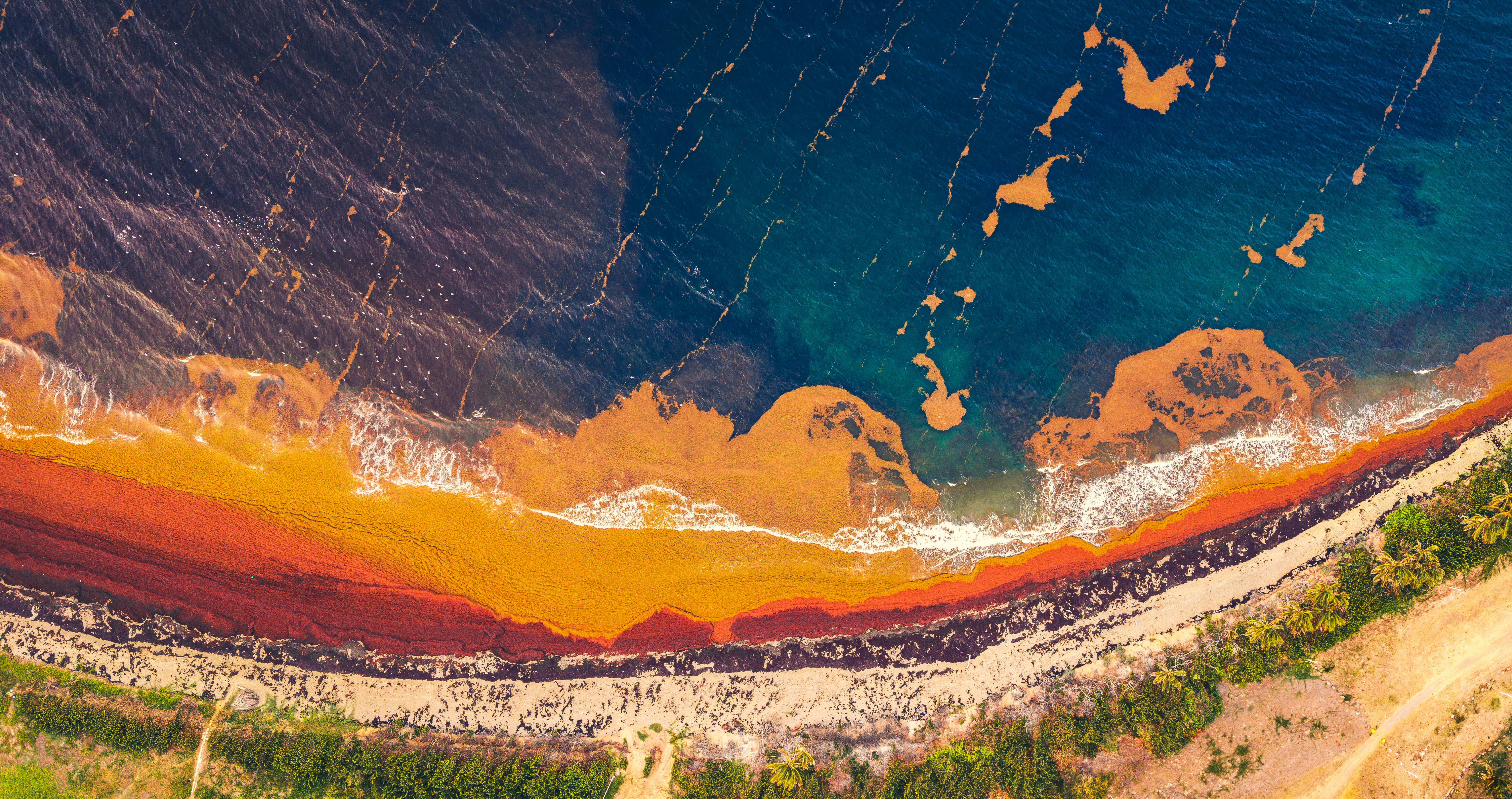 Aerial view shows a vivid shoreline where orange-toned sands meet turquoise water, with a thin dark strip of rocky coast and green vegetation along the edge. Drone perspective emphasizes color contrast and the curving shoreline.