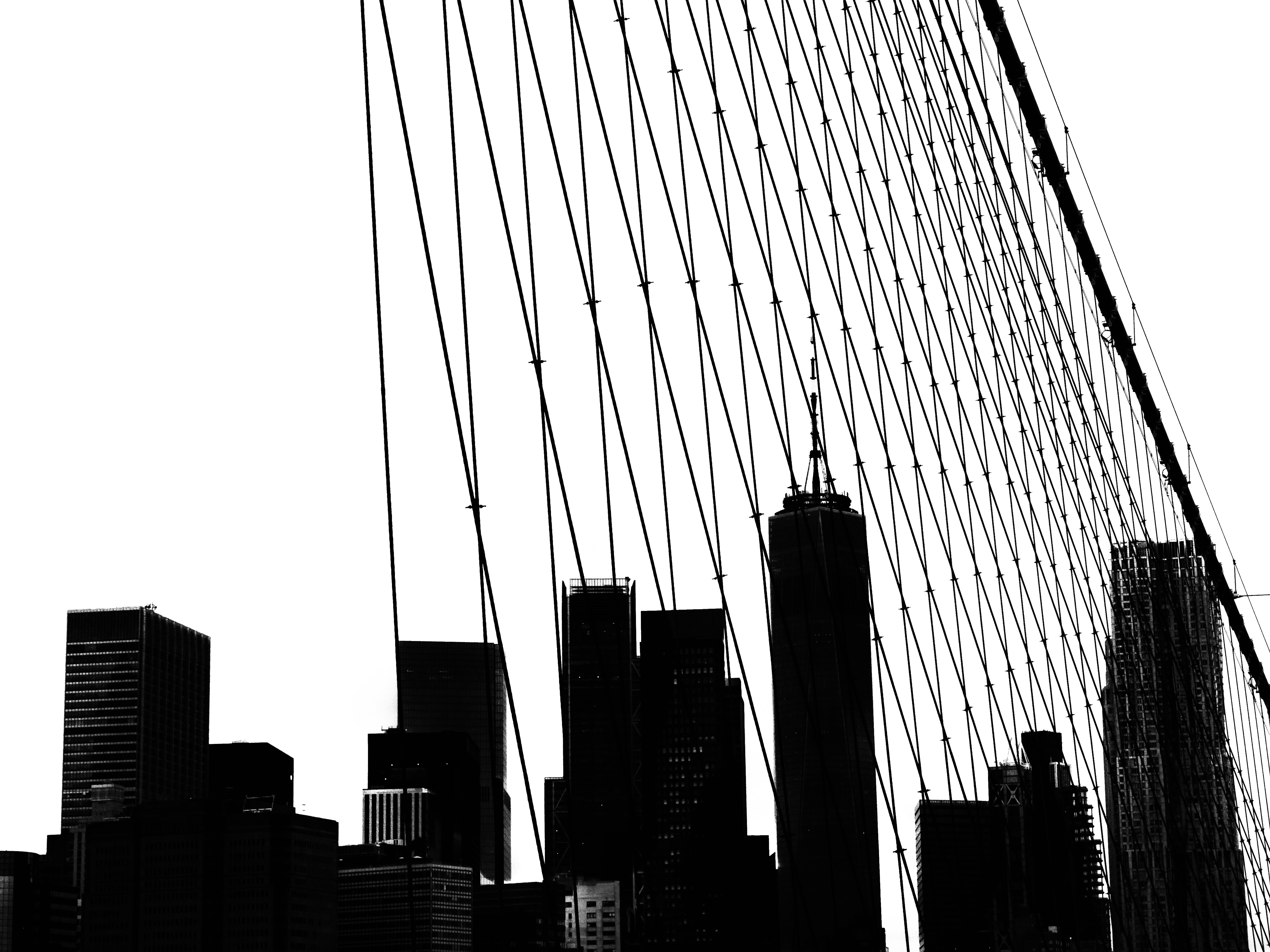 Silhouette Skyline Through Cable Matrix