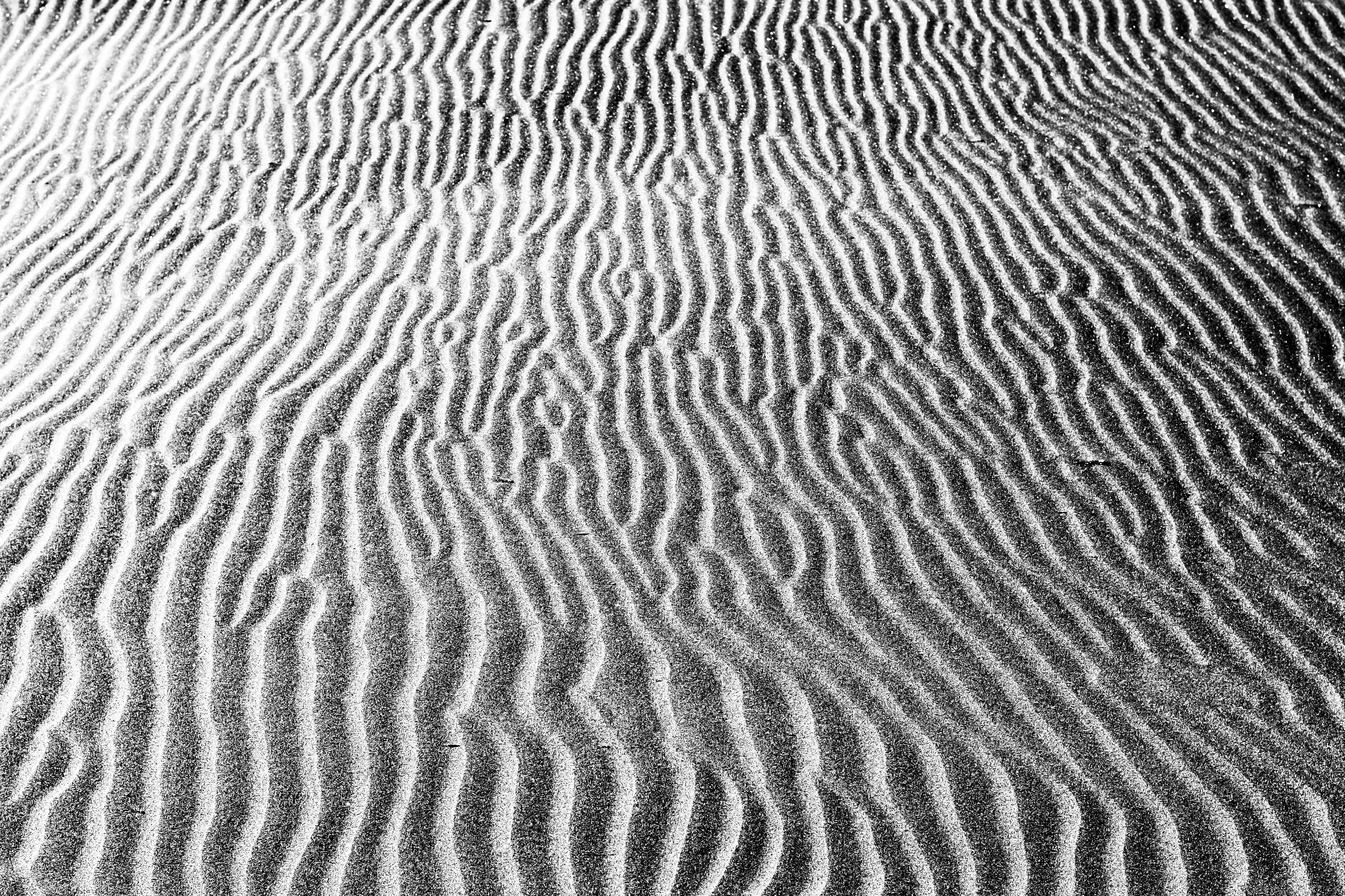 Wind-etched Dunes: A living pattern of rippled sand