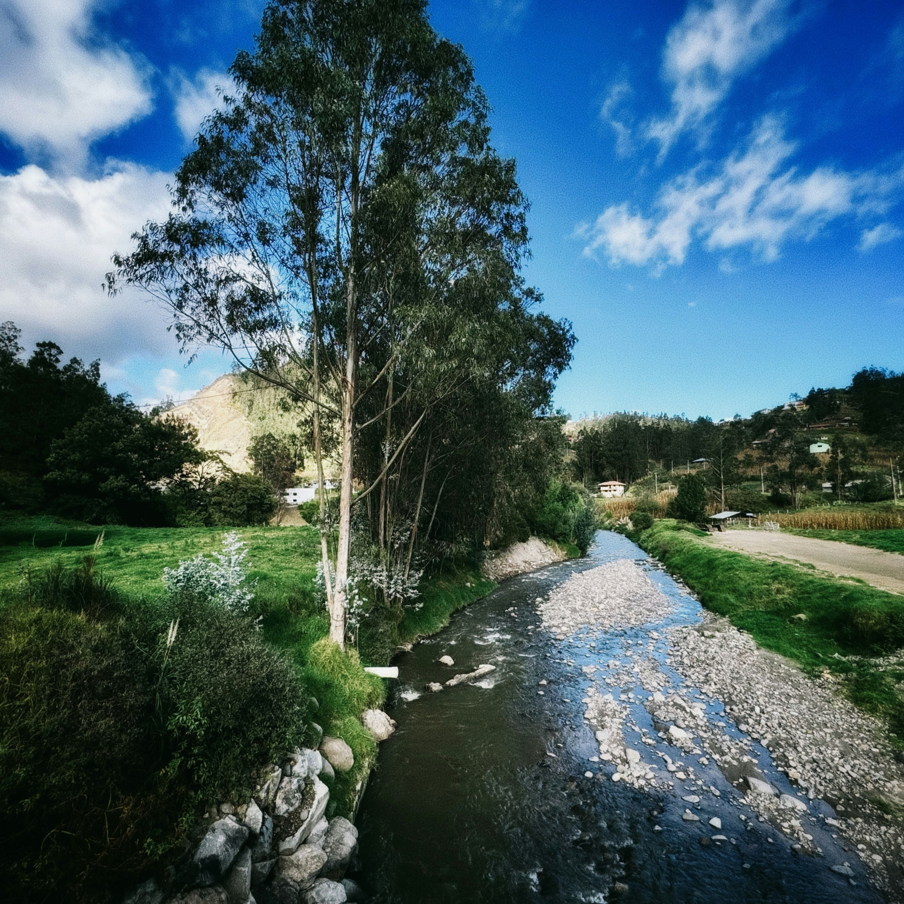 Riverstone Pathway: A Sunlit Channel Through a Quiet Valley