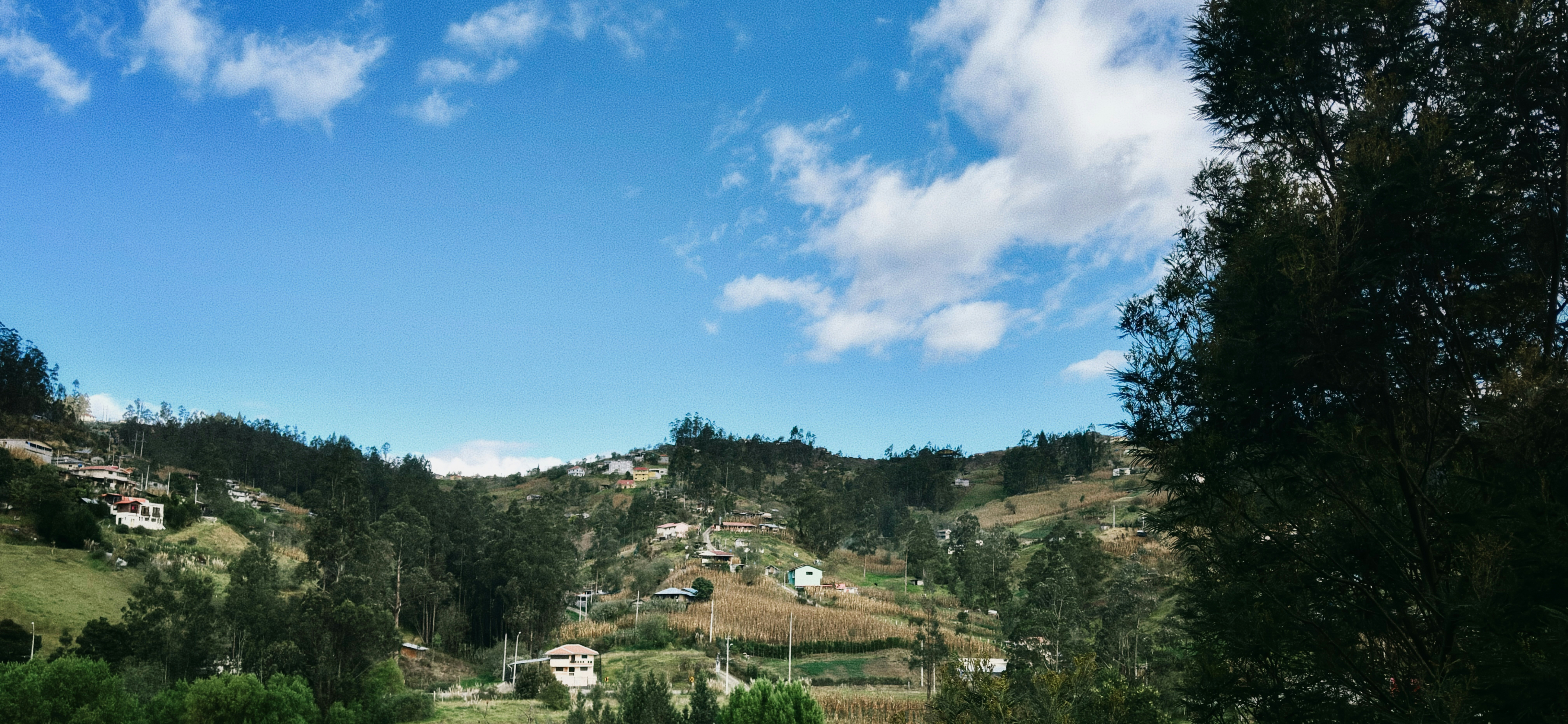 Sunlit Hillside Village Under A Whispering Sky