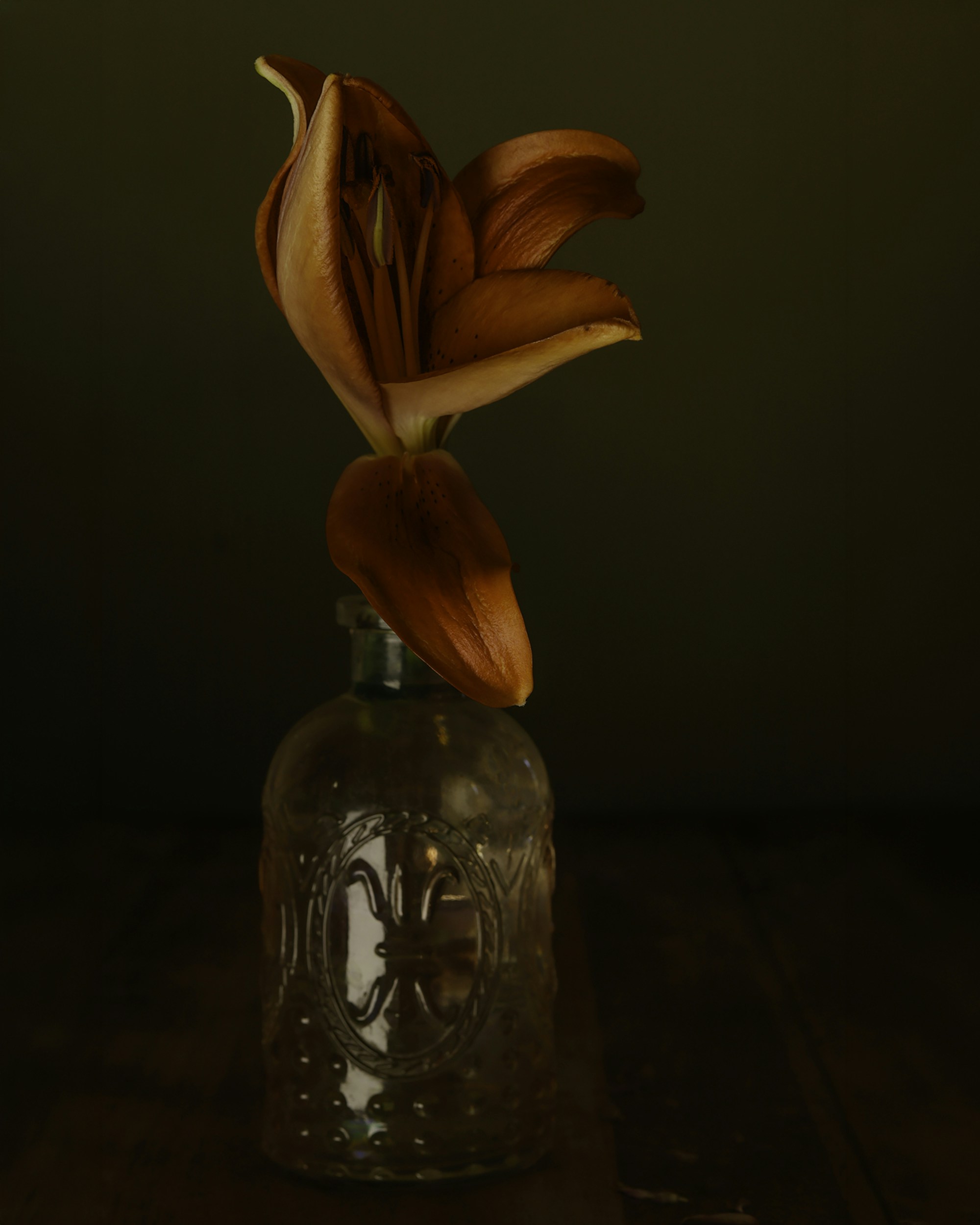 Amber Bloom in a Glass Vessel