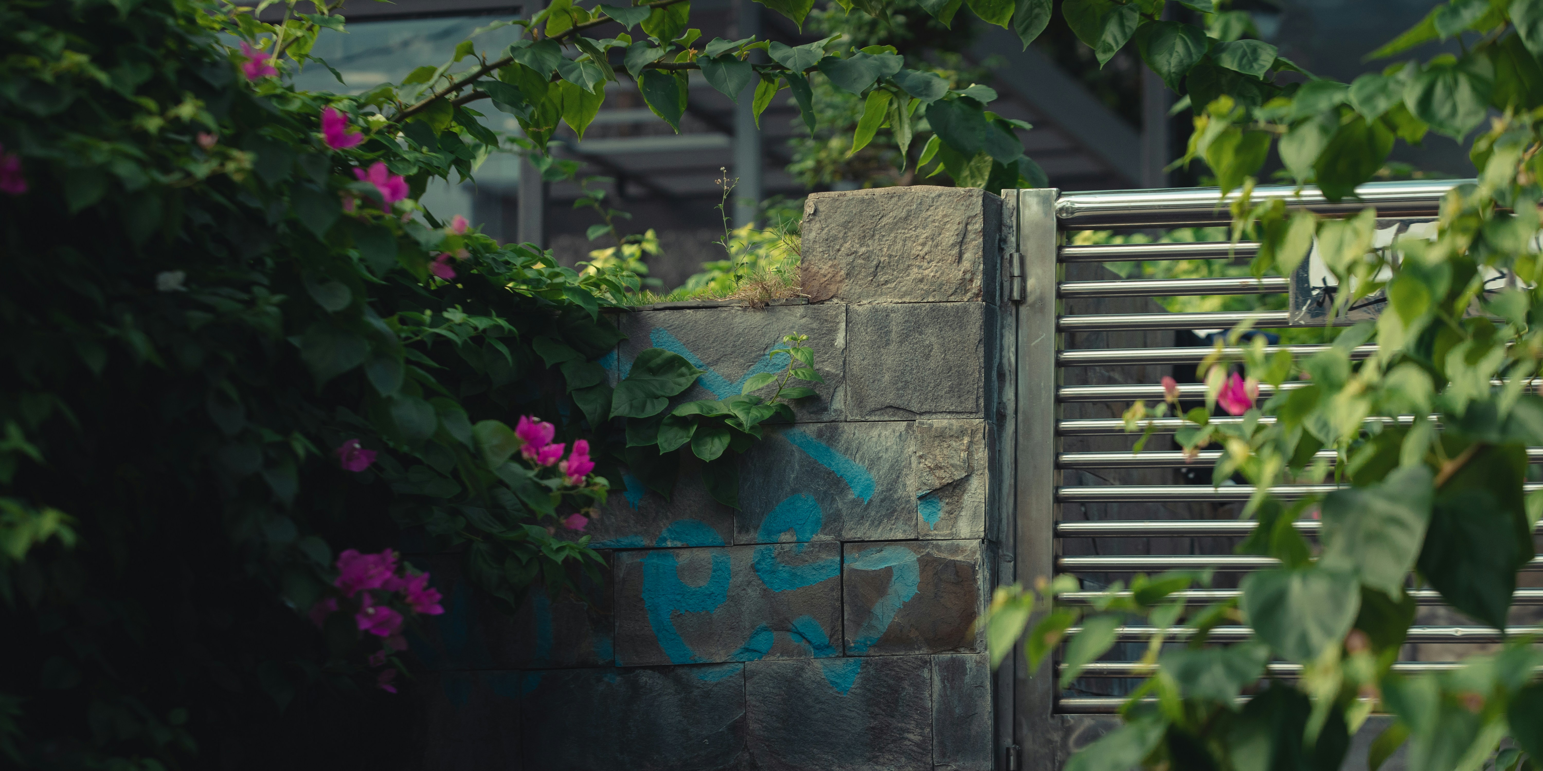 Overgrown Terrace Gate with Graffiti and Foliage