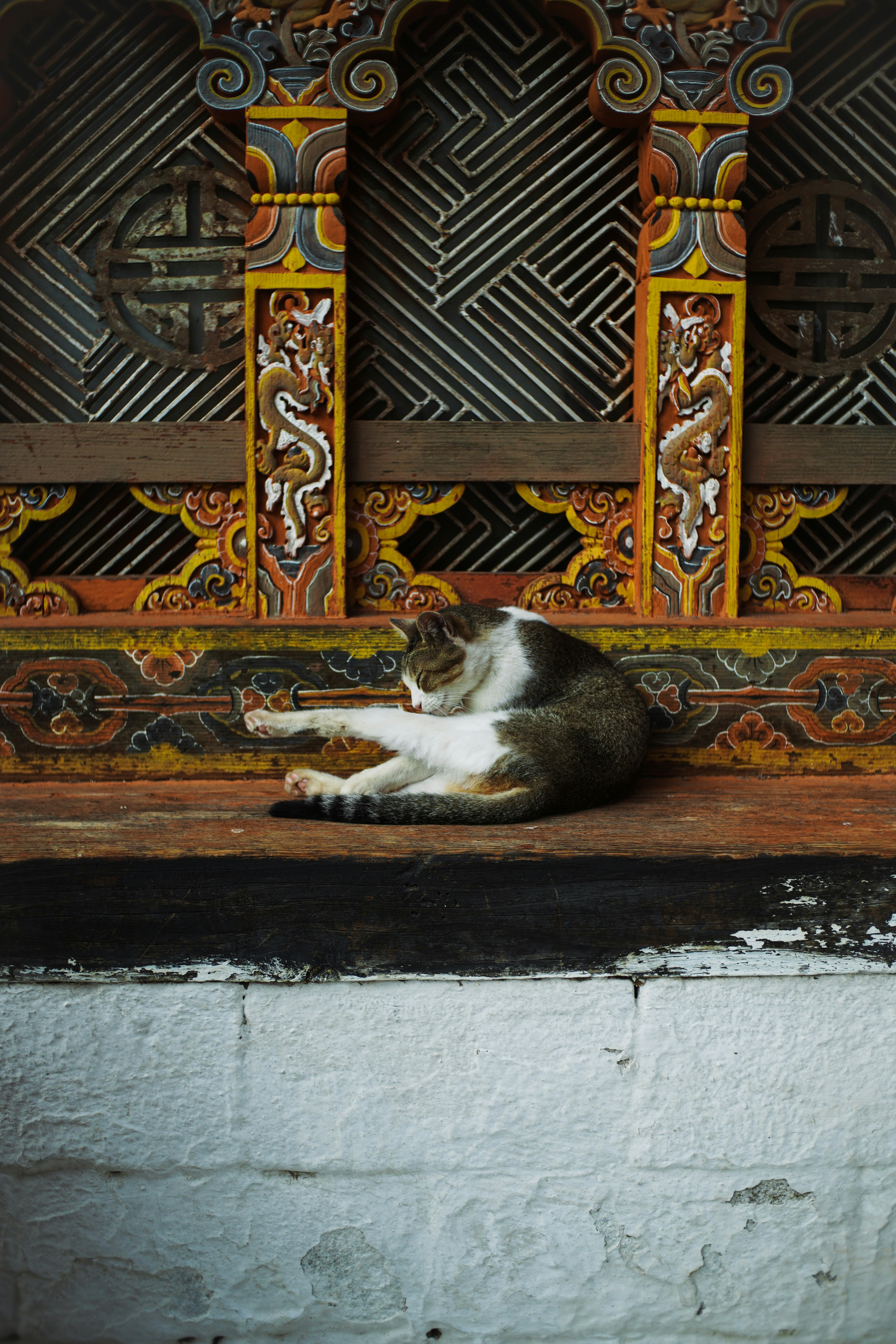 Sunlit Stretch: a cat at ceremonial carved railing