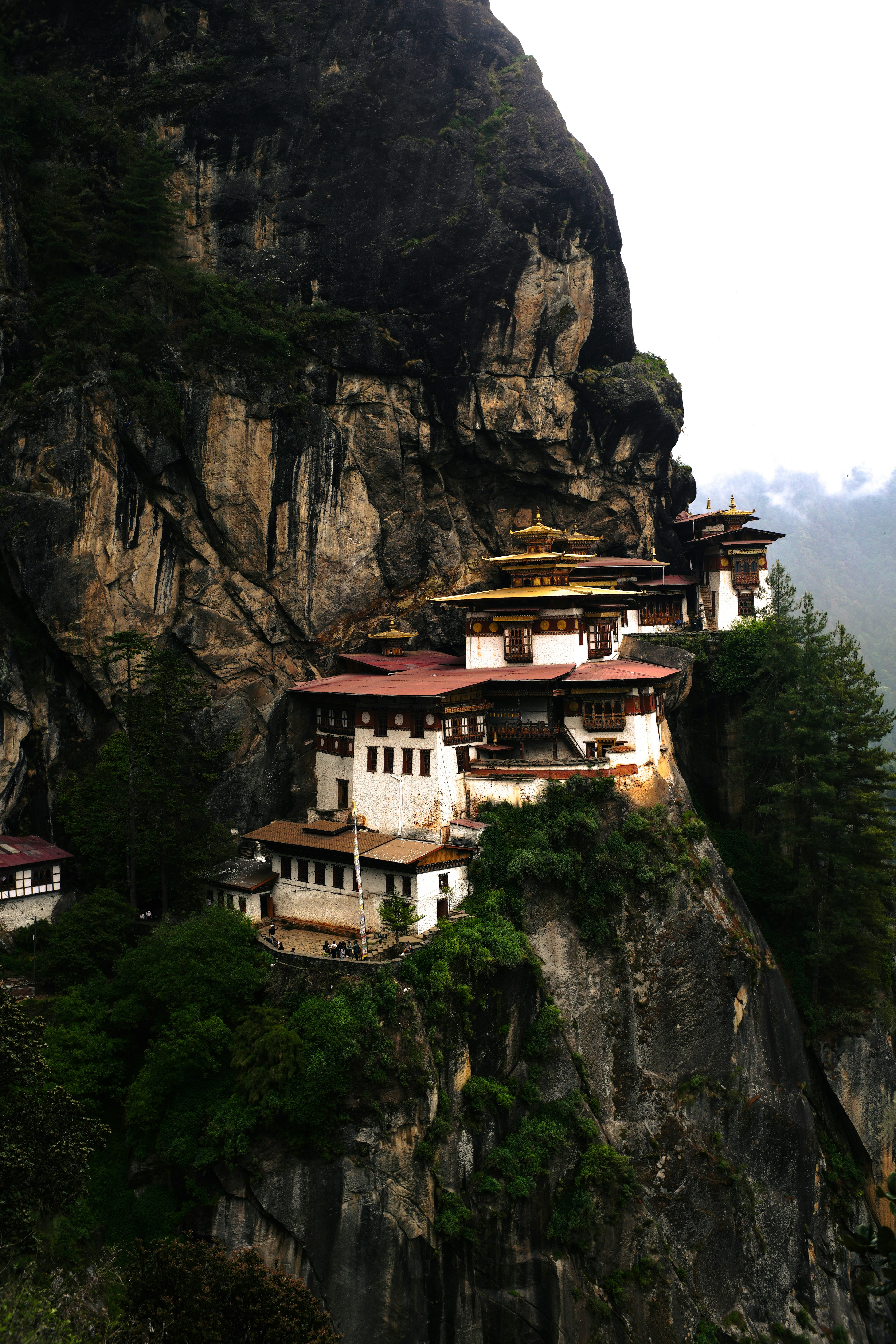 Temple on the Cliff: A Golden-Hued Monastery Ceding the Mountain