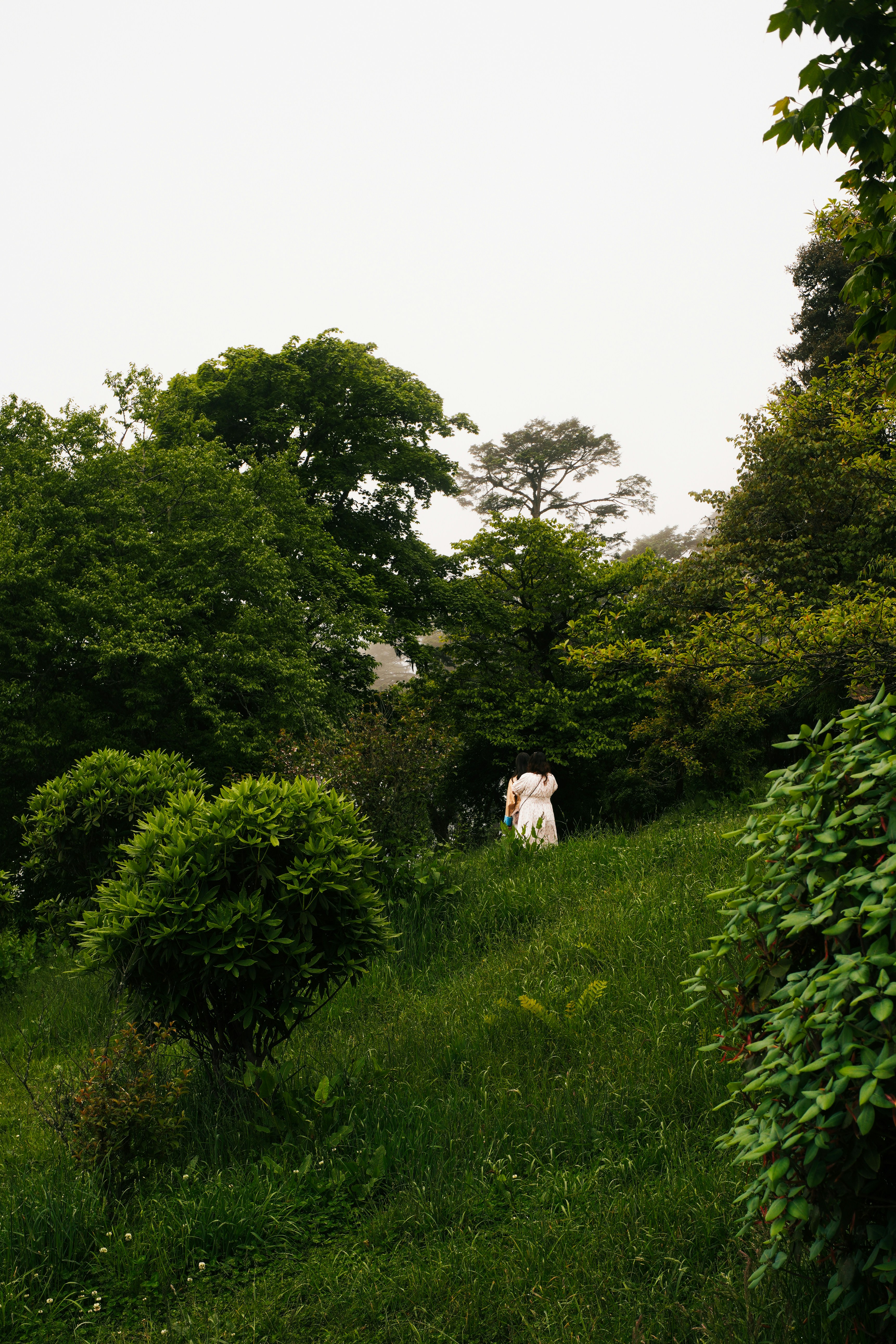 Whispering Lovers in a Green Clearing