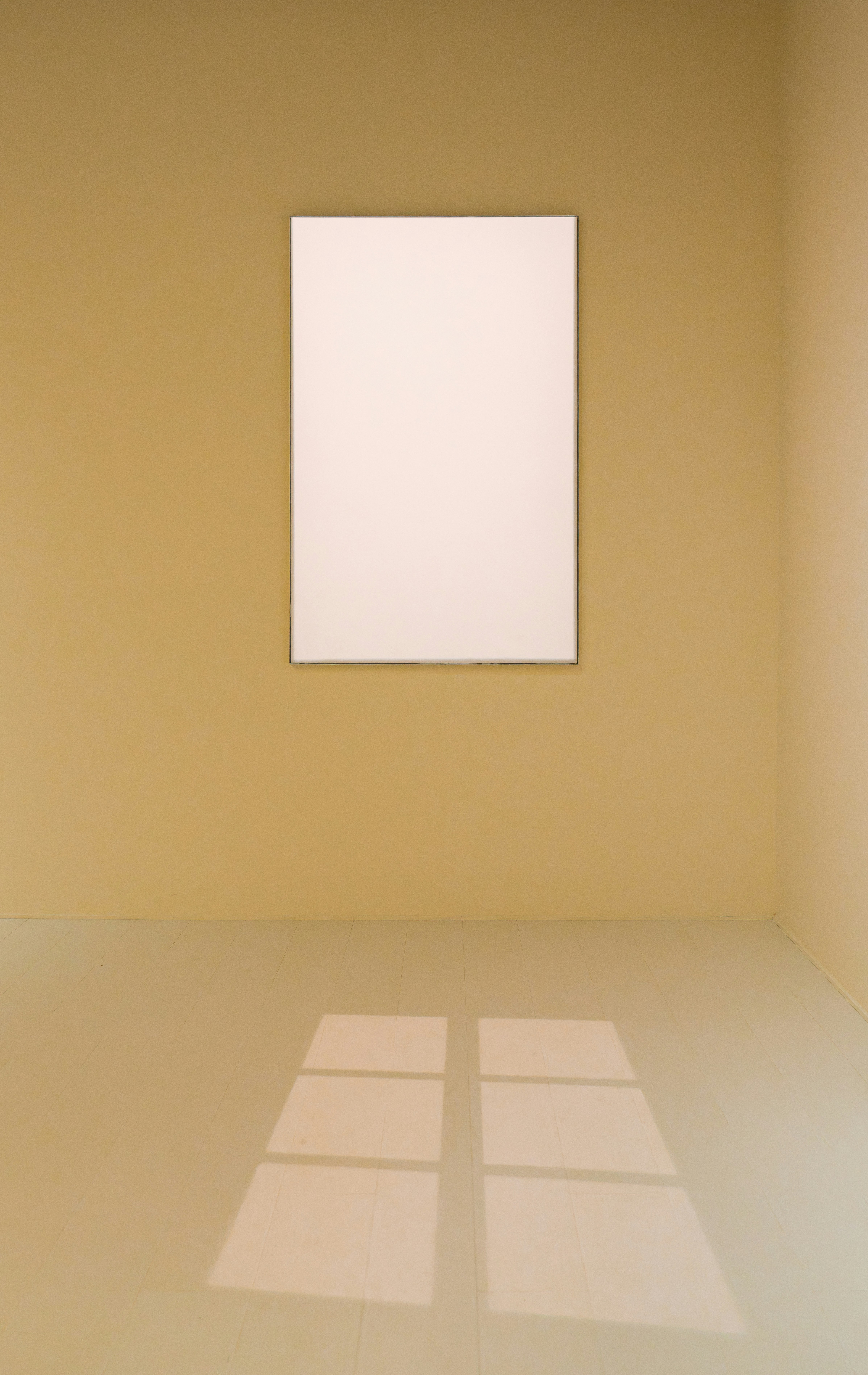 Empty Gallery Egg: A Minimal Portrait of Light and Silence