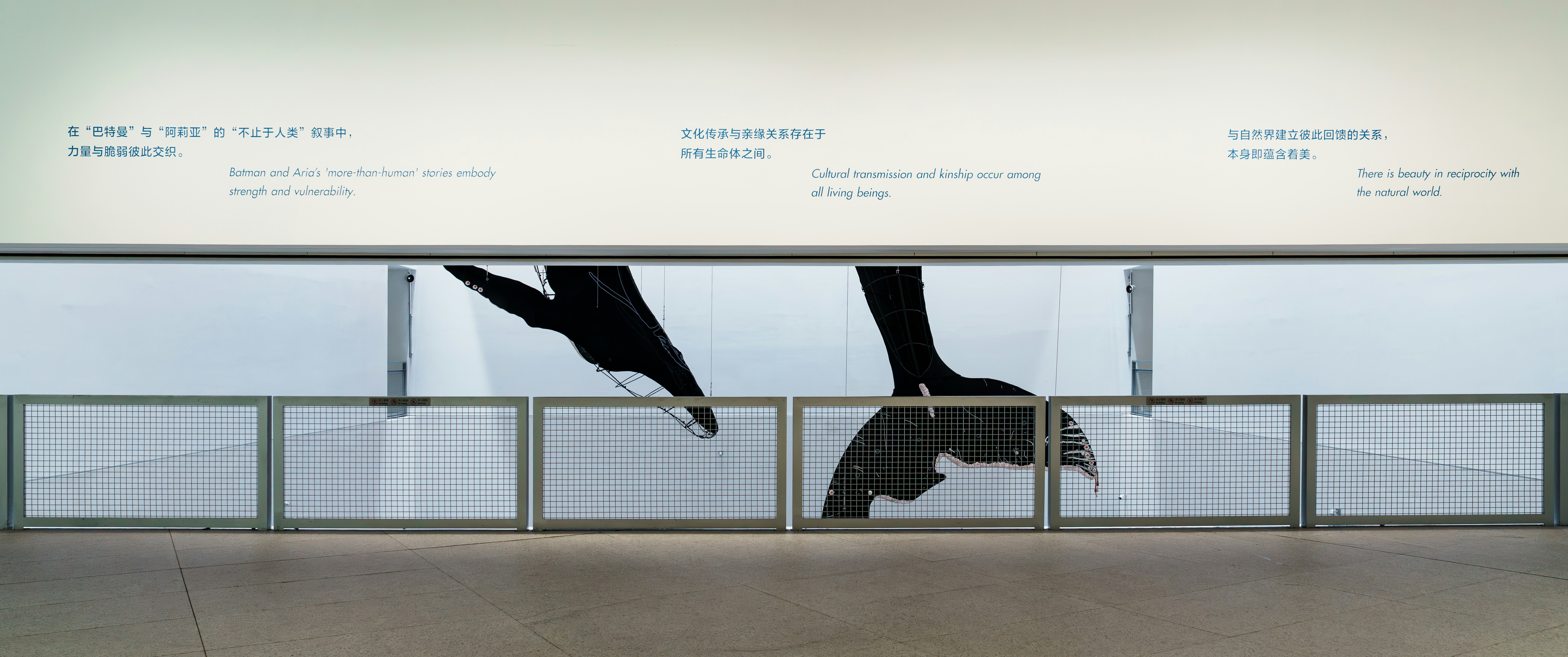 Feet Above the Glass: Fractured Platform in a Minimal Corridor