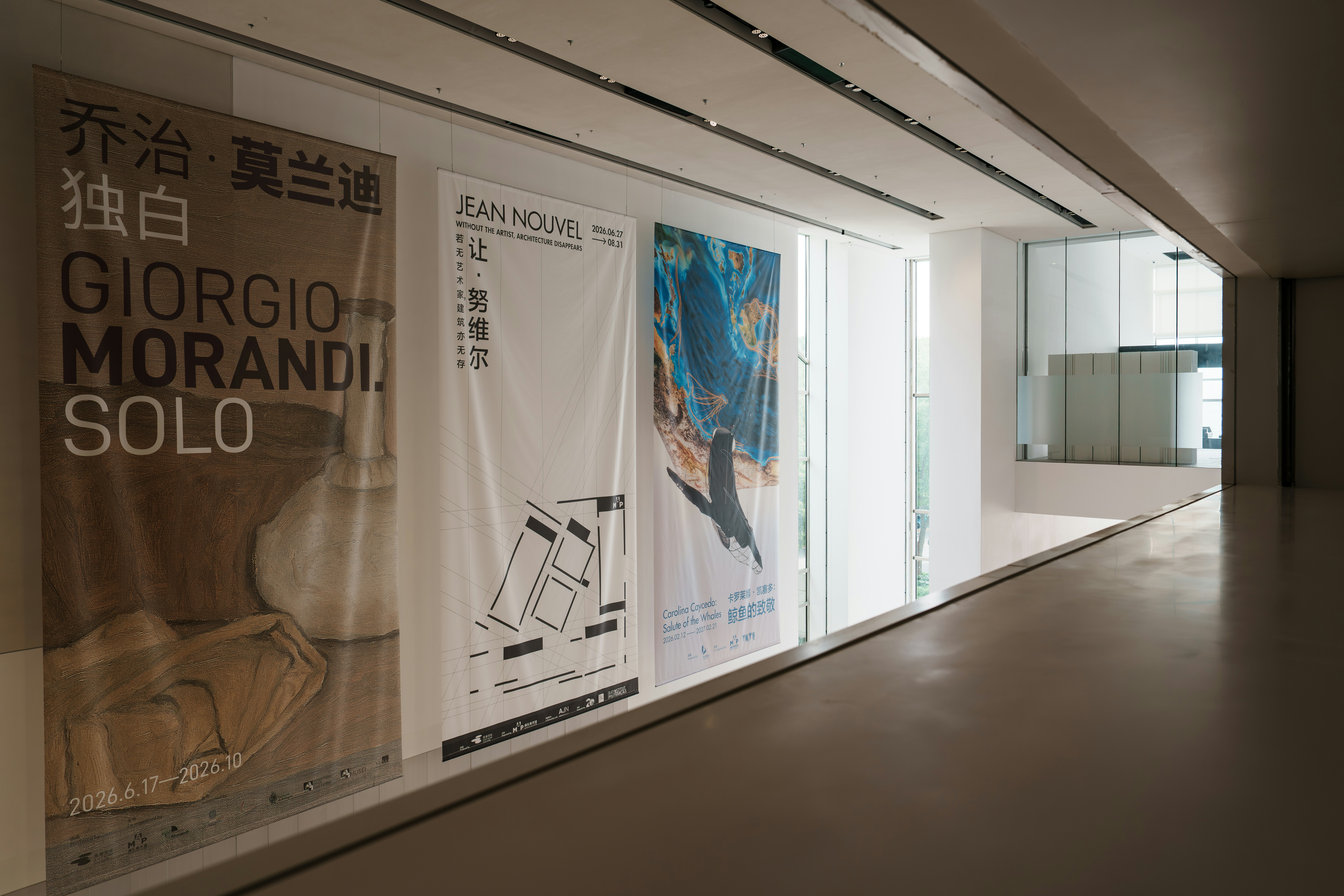 Gallery Corridor Echoes: Posters in a Quiet Light