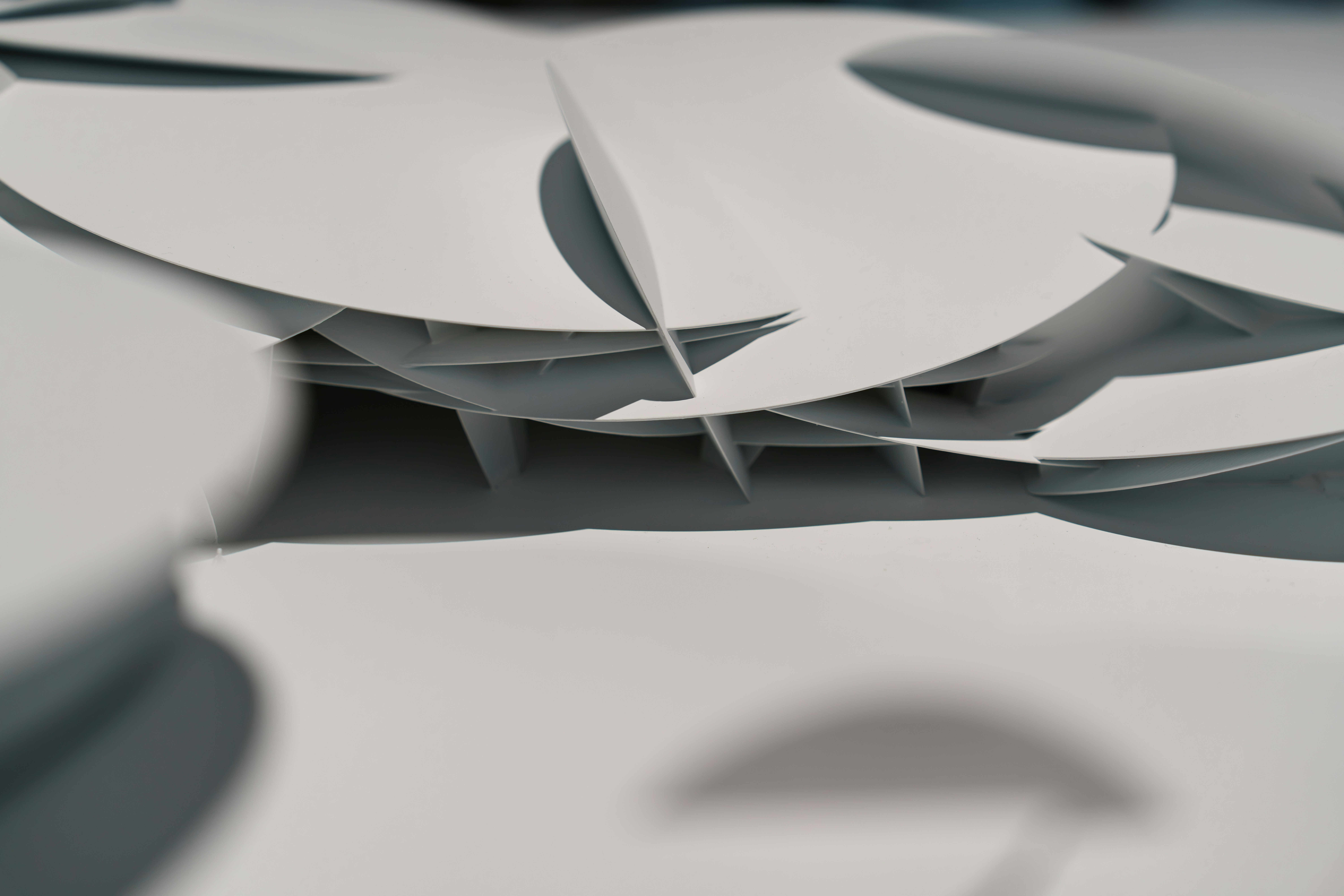 Floating Shards: A Minimalist Dance of Planar Curves