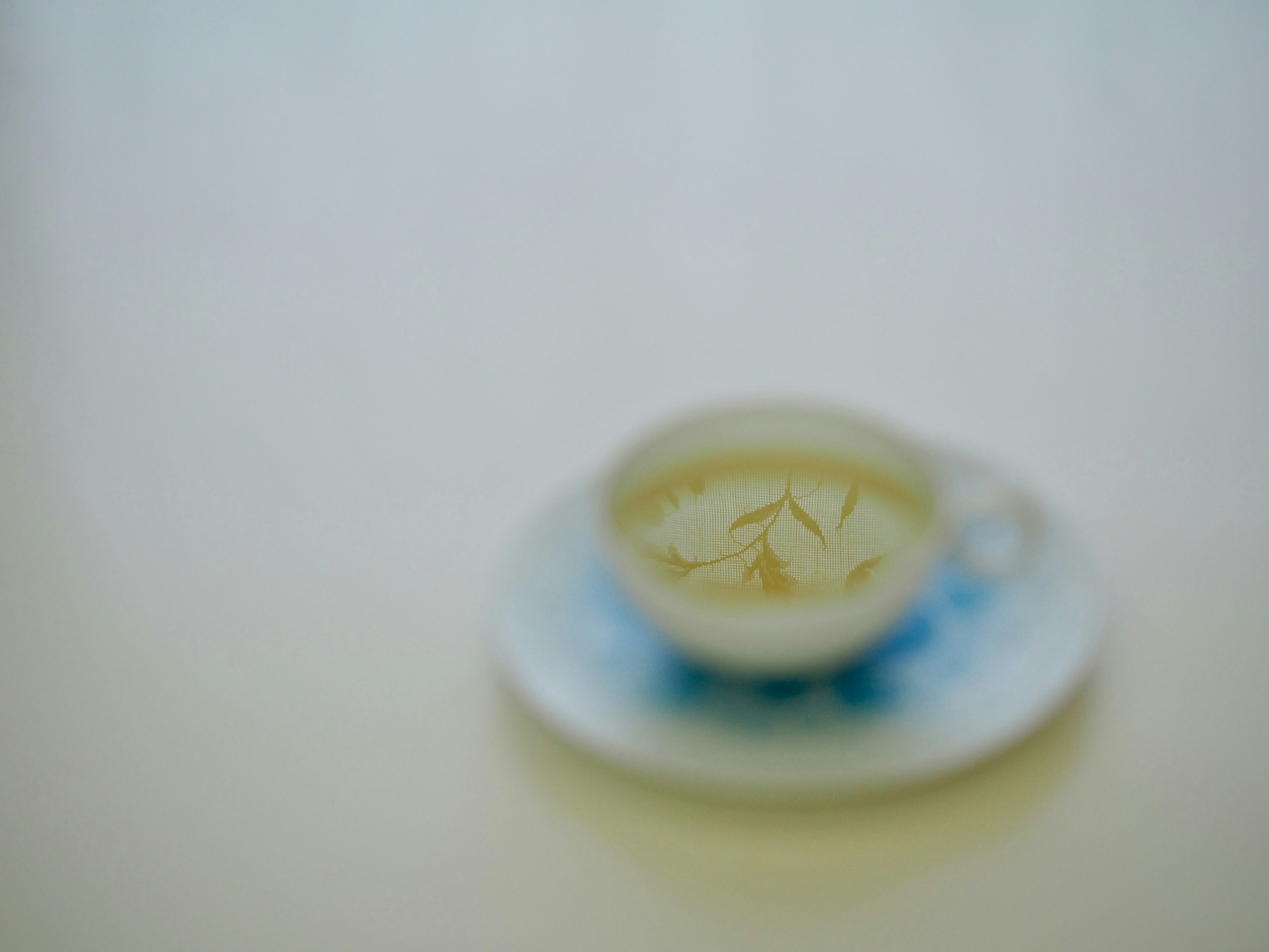 Soft Focus Tea: A Delicate Cup Resting on a Subtle Porcelain Plate